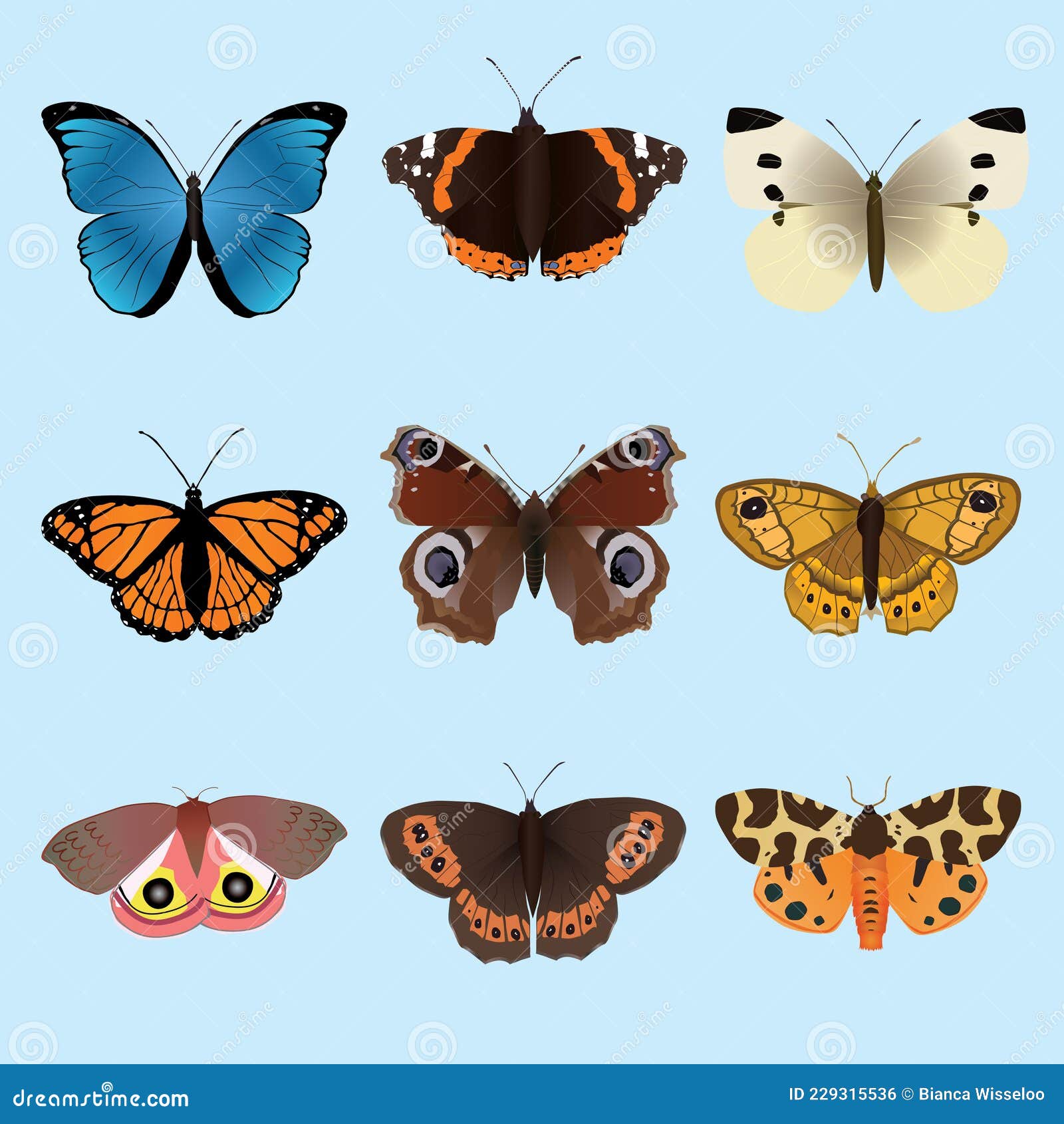 A Collection of Nine Butterflies on a Pale Blue Background Stock Vector ...