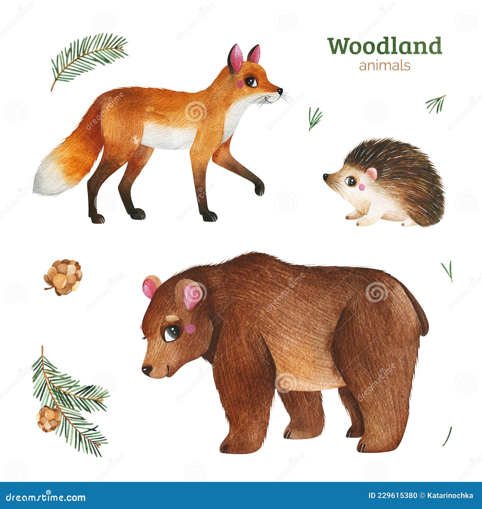 Funny Forest Animals. Very Realistic Animals In Png Format. Isolates On ...
