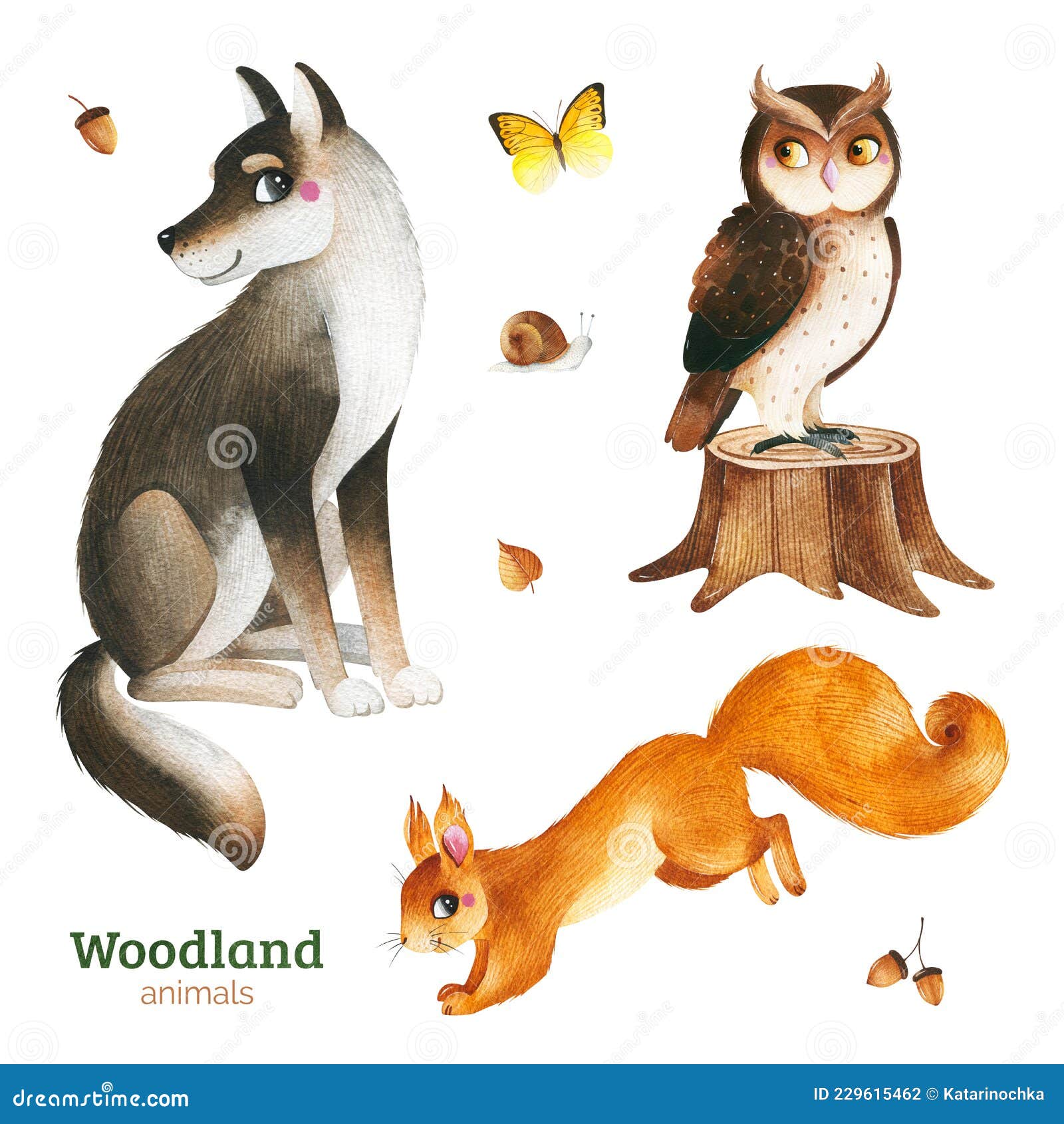 Funny Forest Animals. Very Realistic Animals In Png Format. Isolates On ...