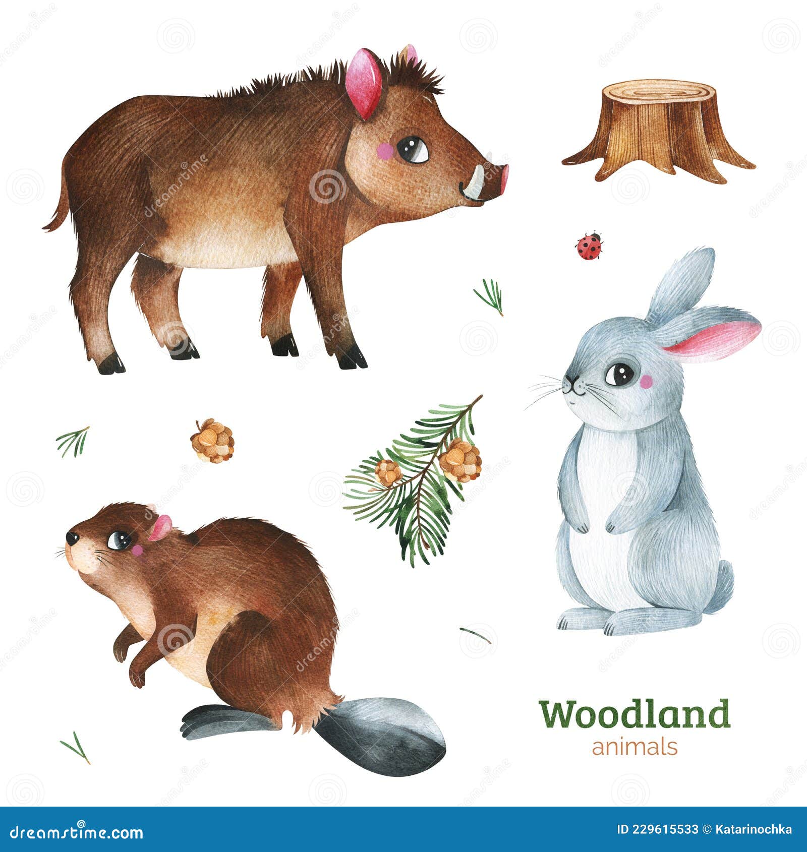 Funny Forest Animals. Very Realistic Animals In Png Format. Isolates On ...