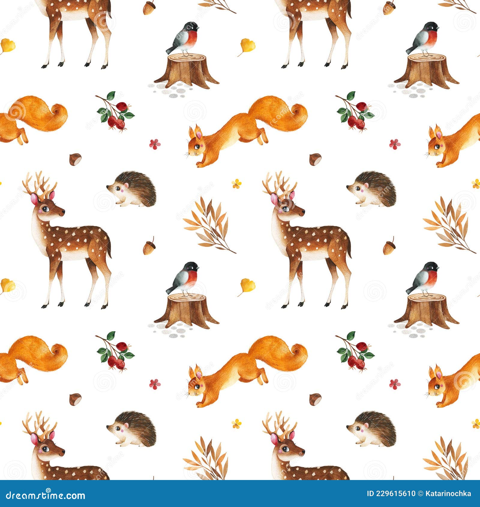 Funny Forest Animals And Floral Elements Isolate On White Background ...