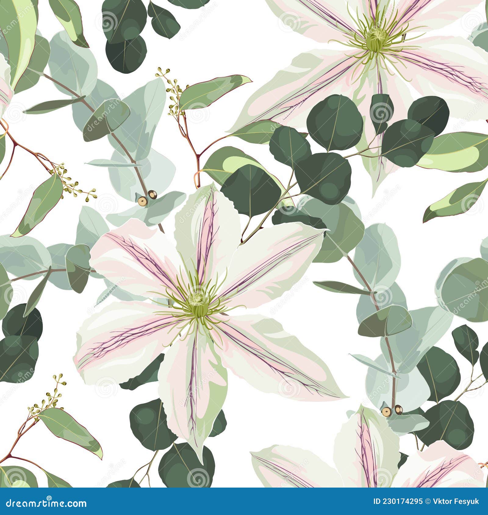 Beautiful Clematis Flowers On Climbing Twigs Against Ultramarine ...