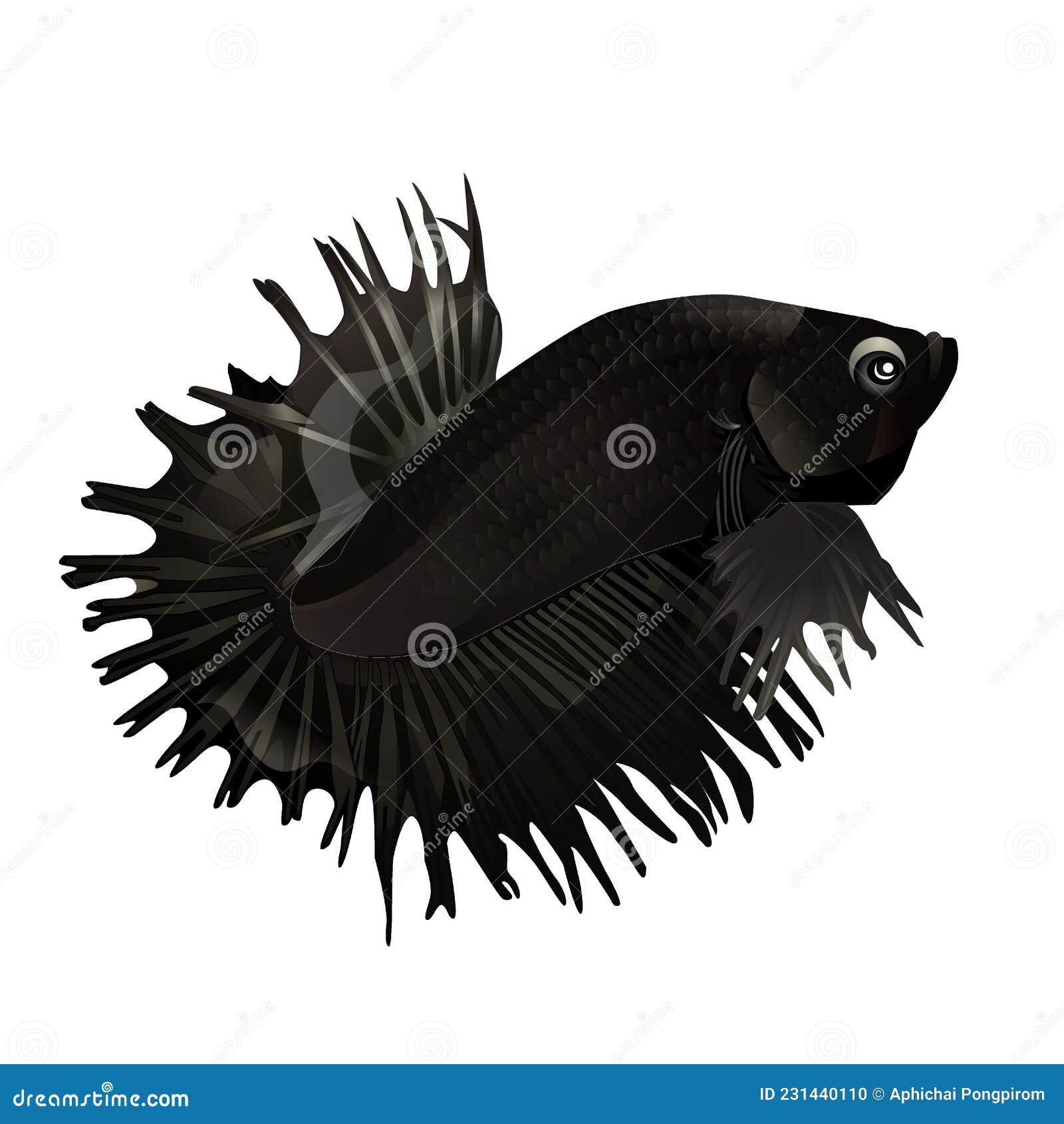 Vector Illustration, Fighting Fish, Beautiful, Fierce, Good for Posters ...