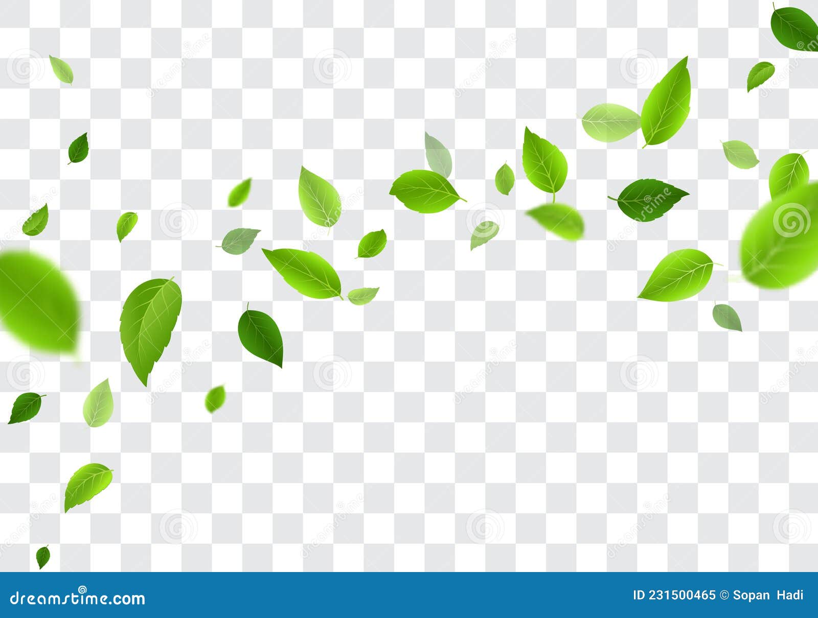 Green Leaves Falling From Tree