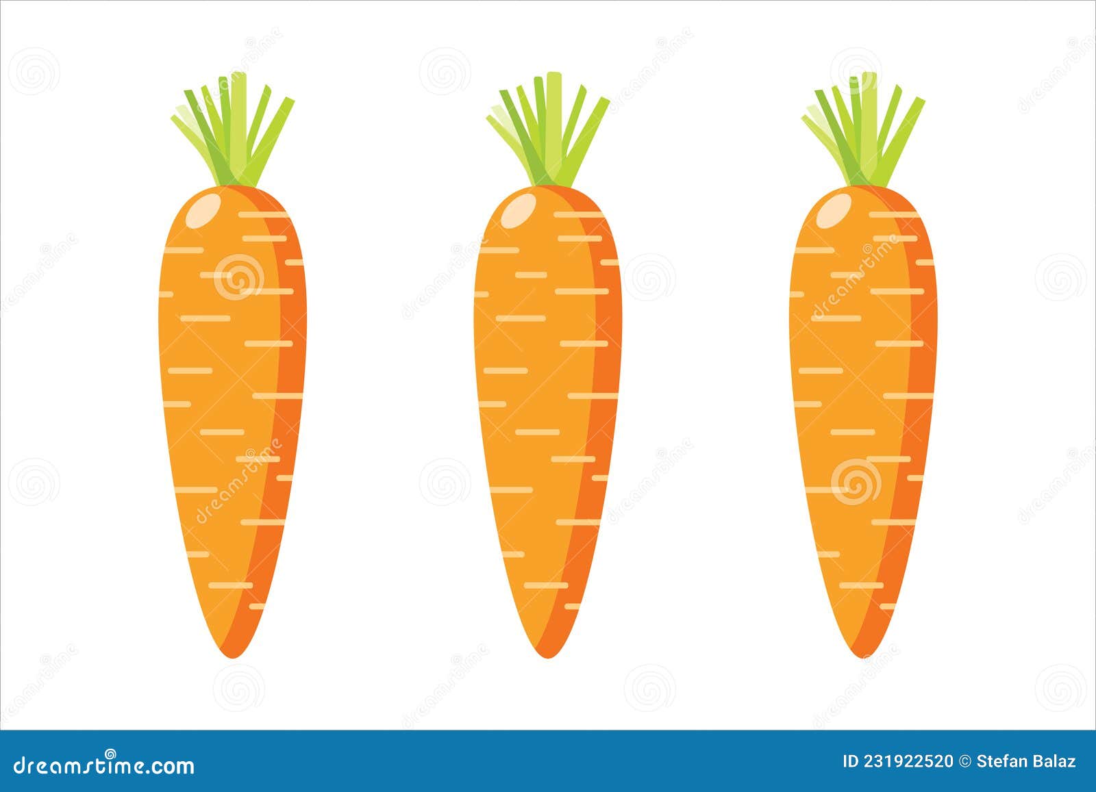 Three Healthy Carrots from Garden,vegetable Vector Illustration ...