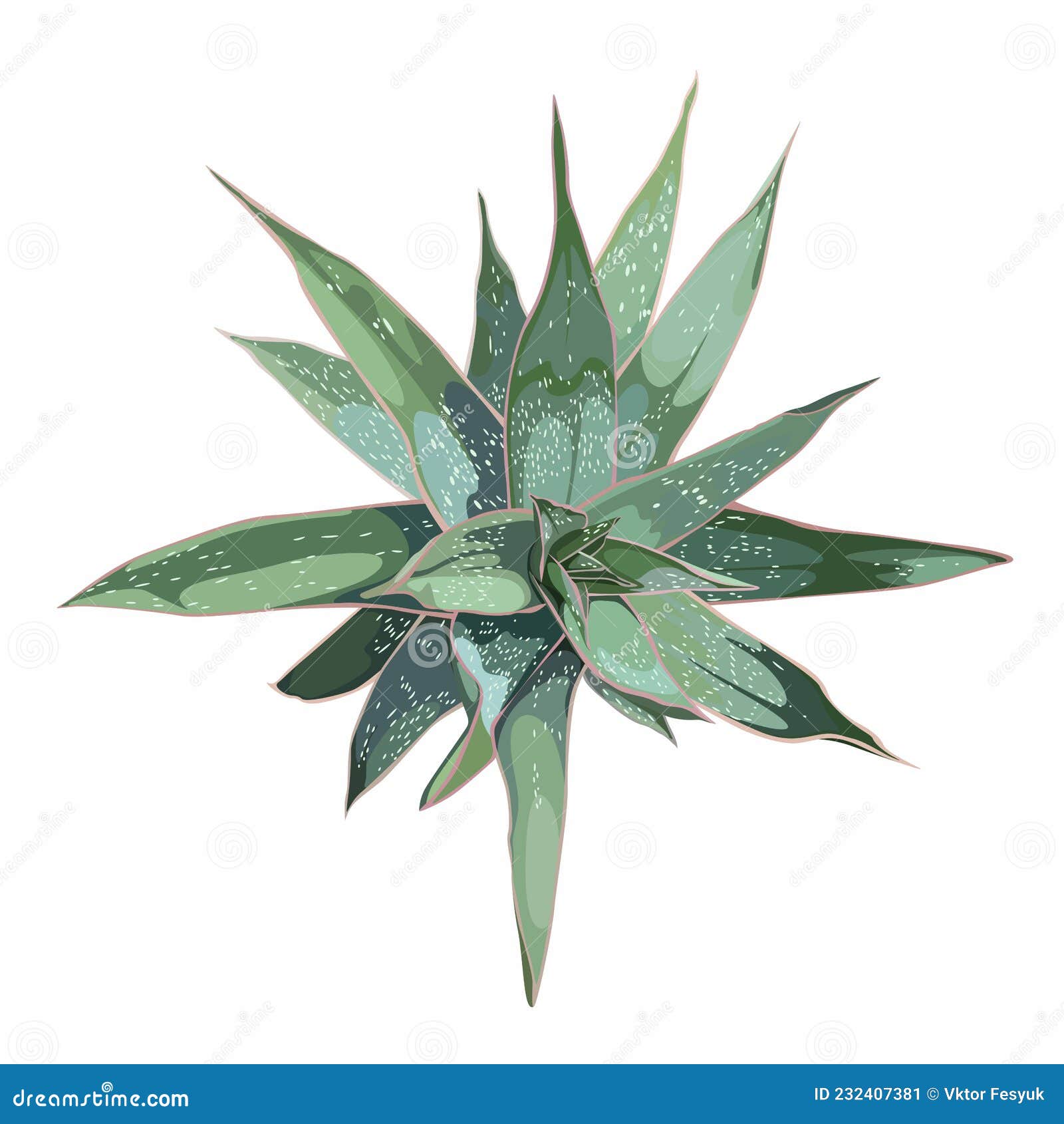 Adams Needle and Thread Yucca Filamentosa, Agave Plant. Hand Drawn ...