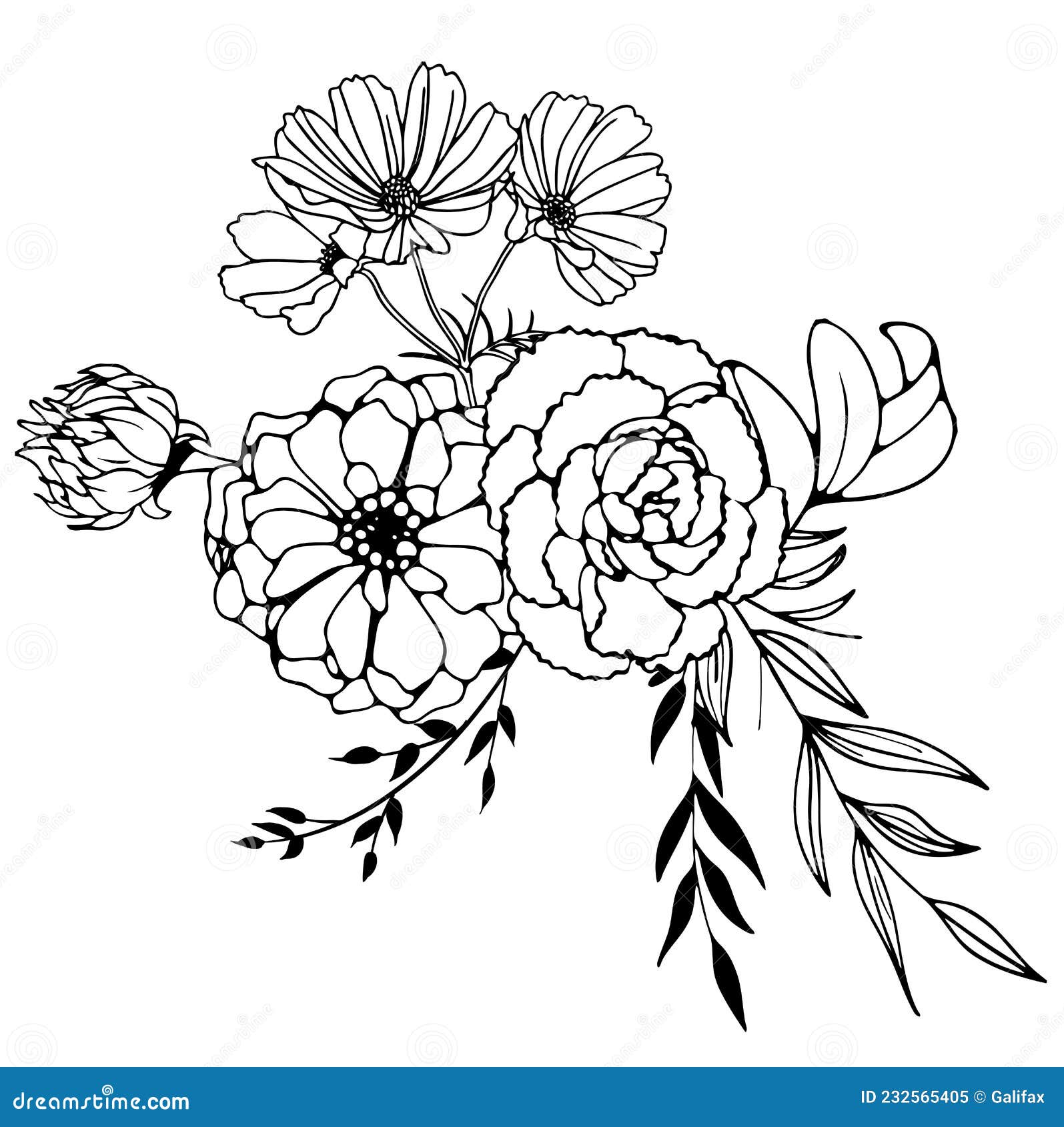 One Black Outline Flower, Branch and Leaves.Isolated on White ...