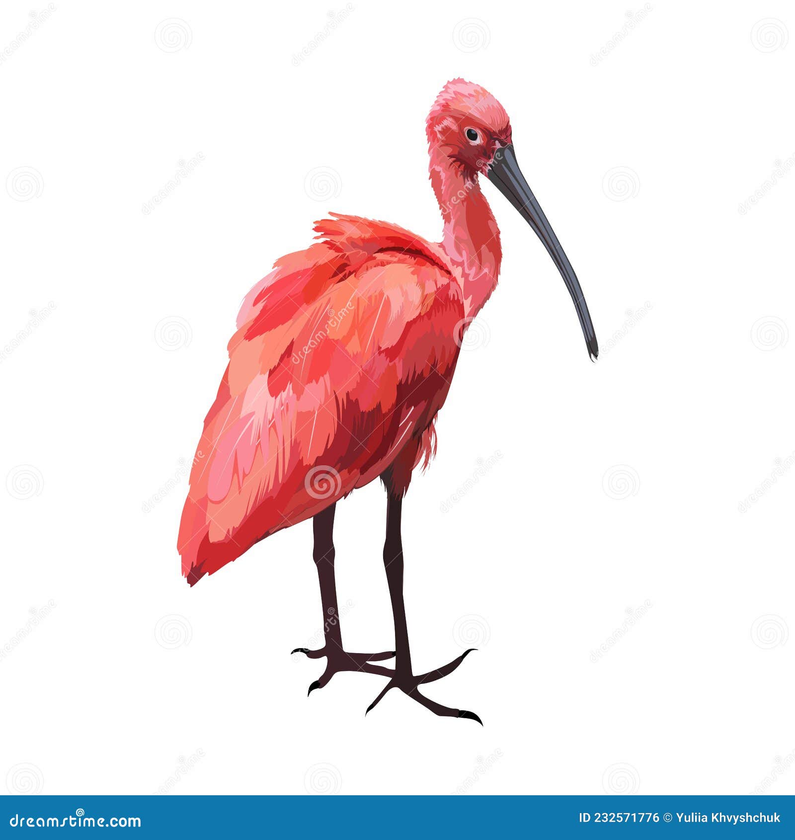 Hand Drawn Cartoon Summer Time Graphic Decoration Illustrations Art ...