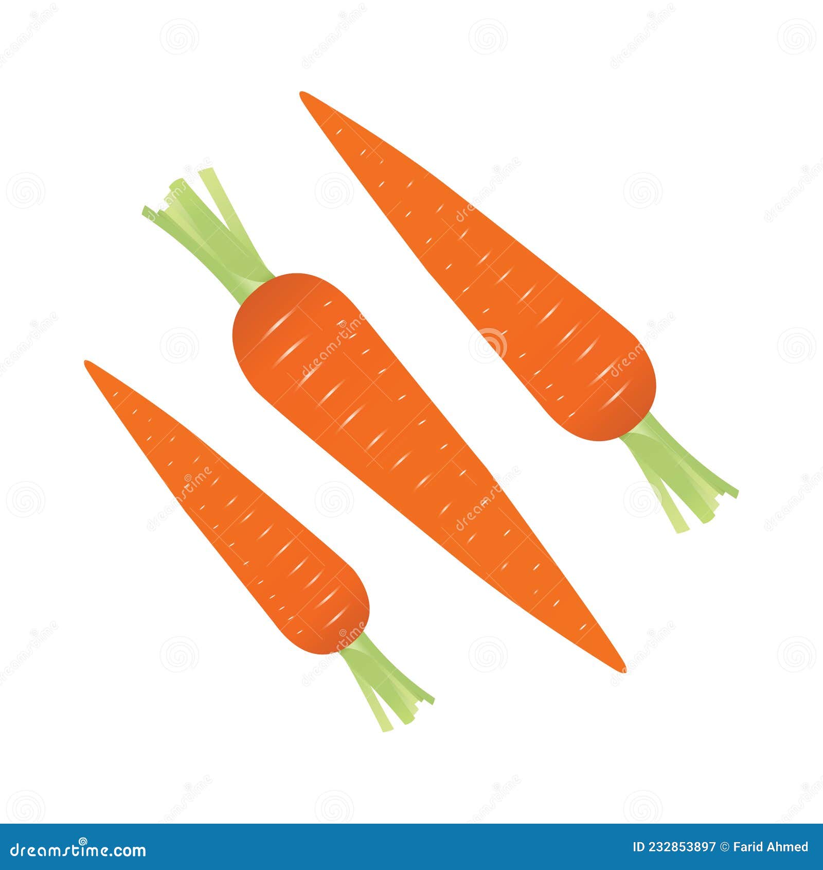 Carrot Realistic Vector Illustration with Leaf Stock Vector ...