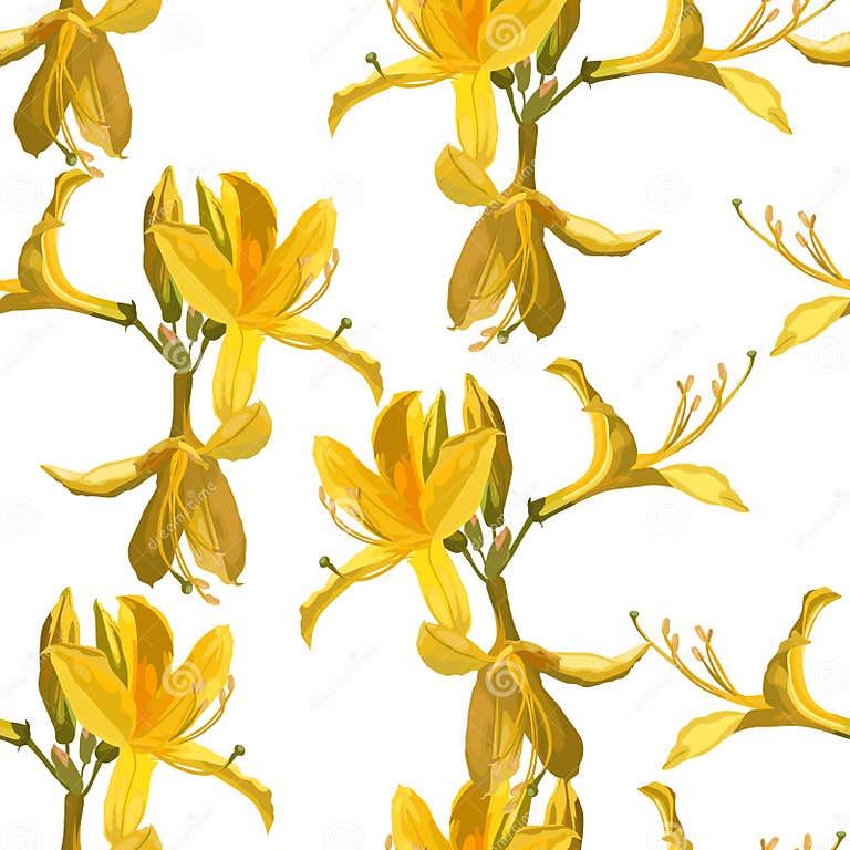 Seamless Pattern with Yellow Oleander Flower. Rhododendron Cosmopolitan ...