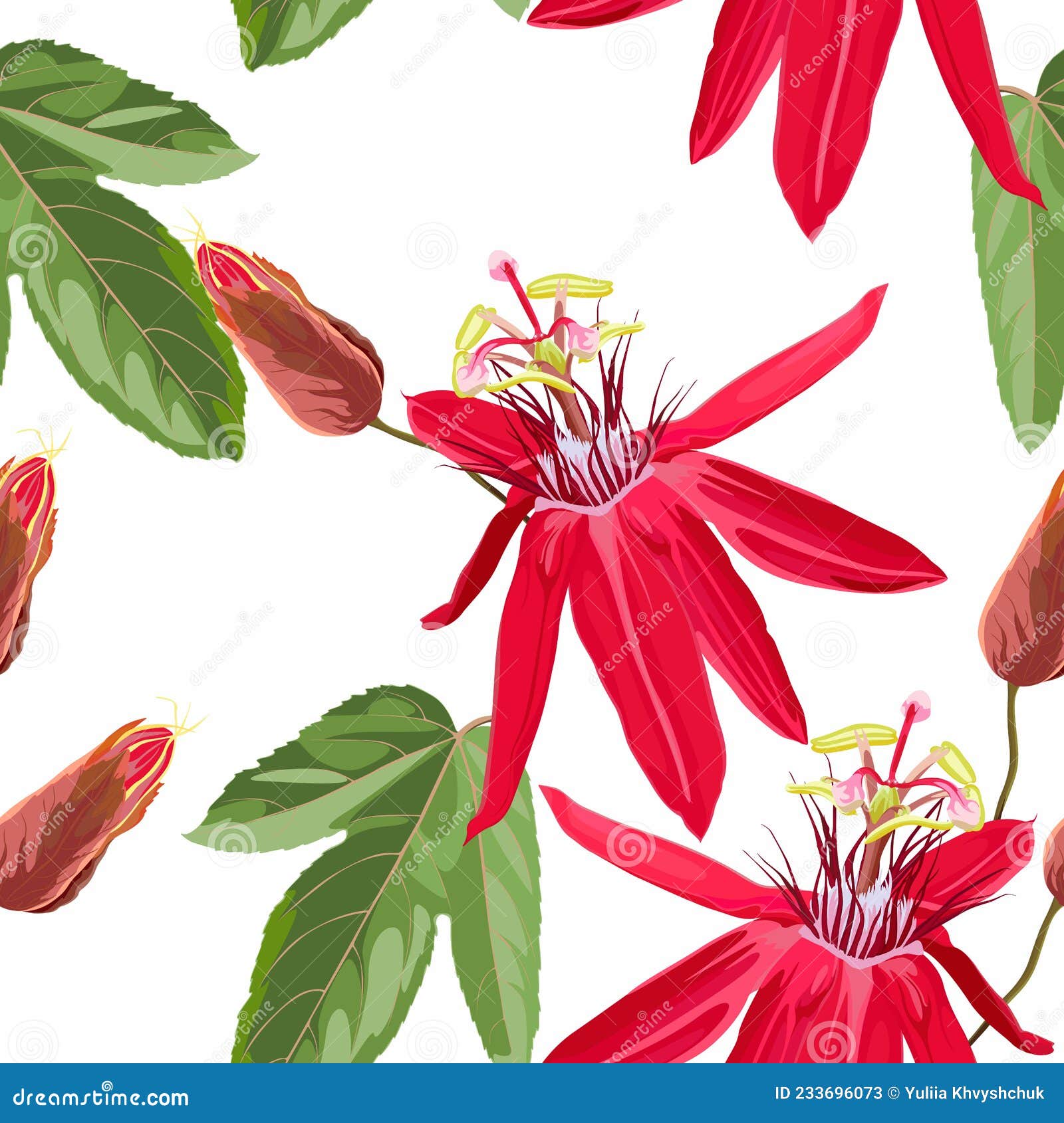 Red Passion Flower Seamless Pattern, Buds and Leaves on White ...