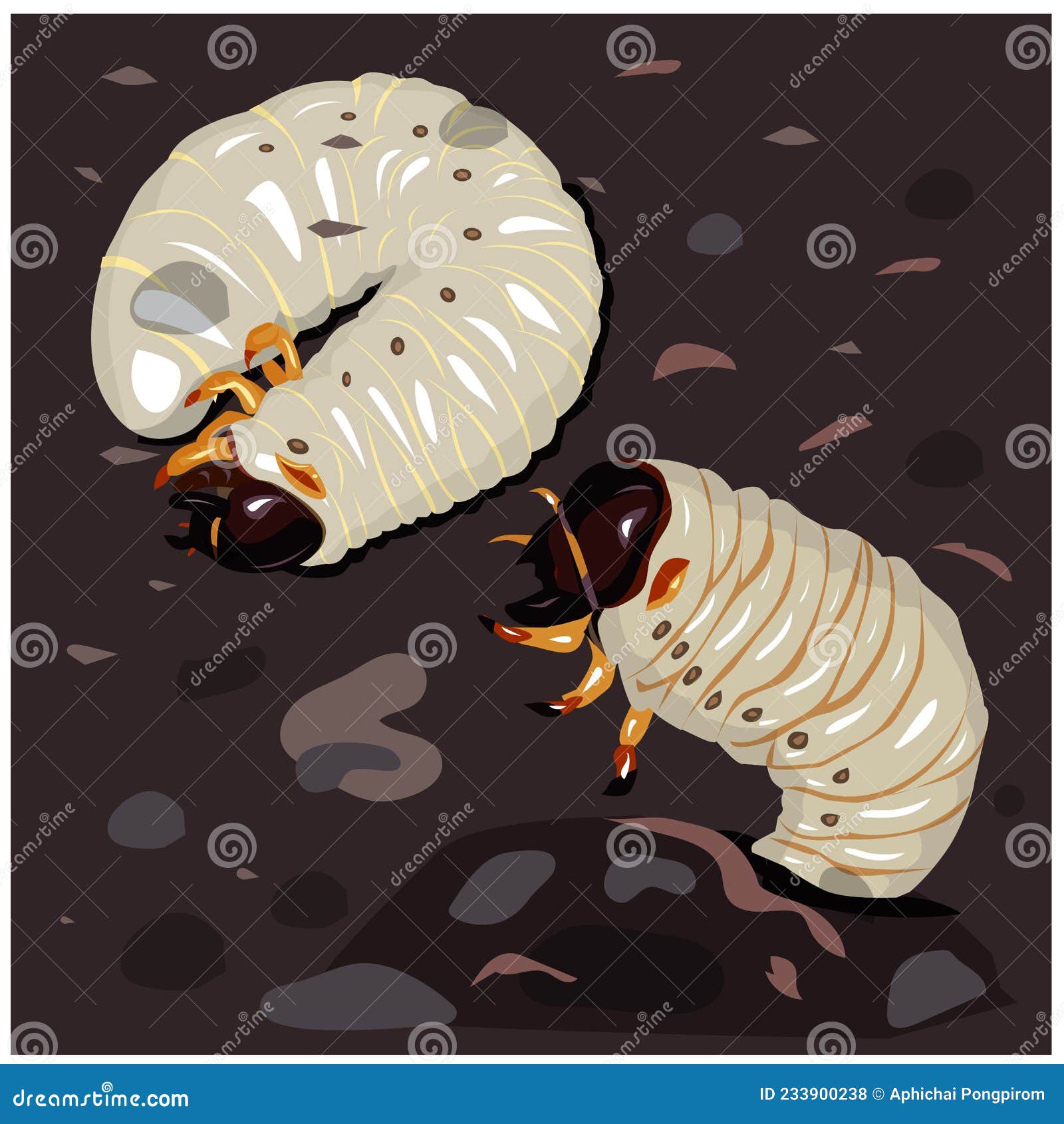 Illustration Larva. Insect Larvae Stock Illustration - Illustration of ...