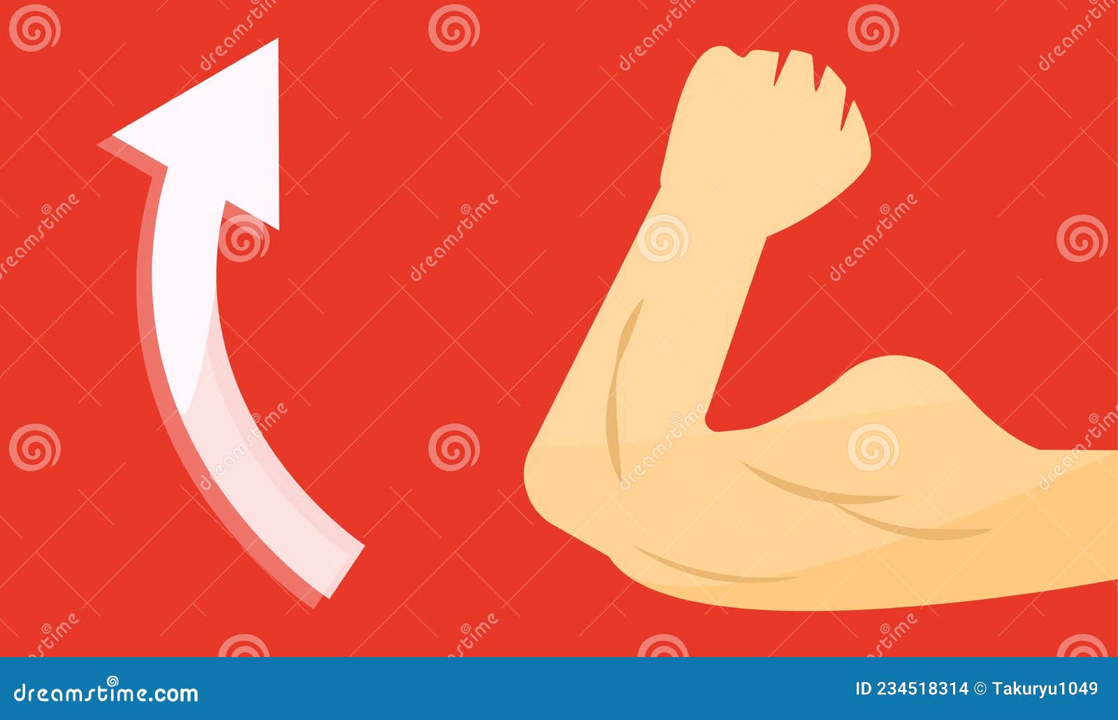 Arms To Increase Muscle Strength. Vector Illustration. Stock Vector ...