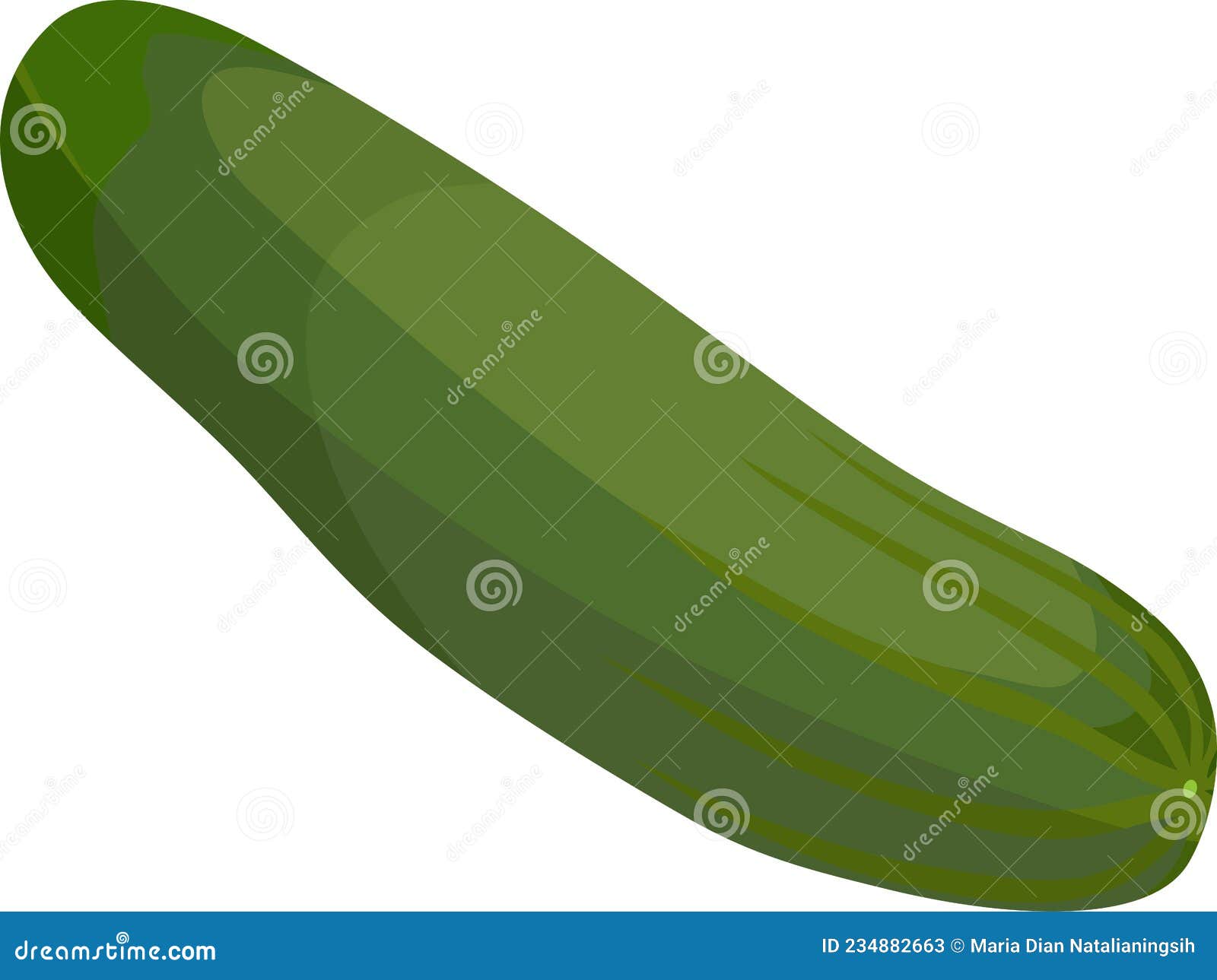 Cucumber Vegetable Plant Vector Image Stock Vector - Illustration of ...