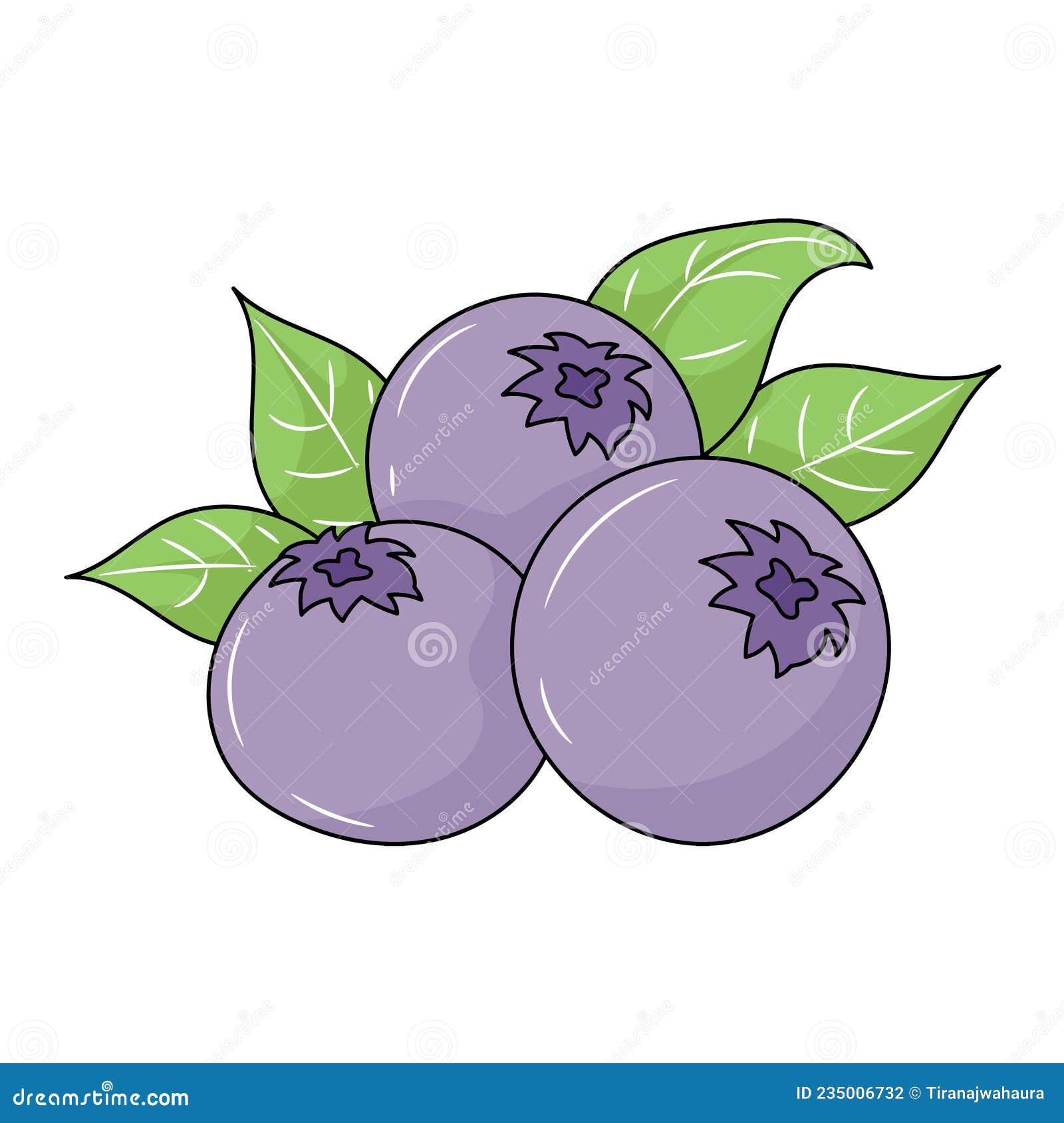 Simple Blueberry, Colored Vector Illustration Stock Vector ...