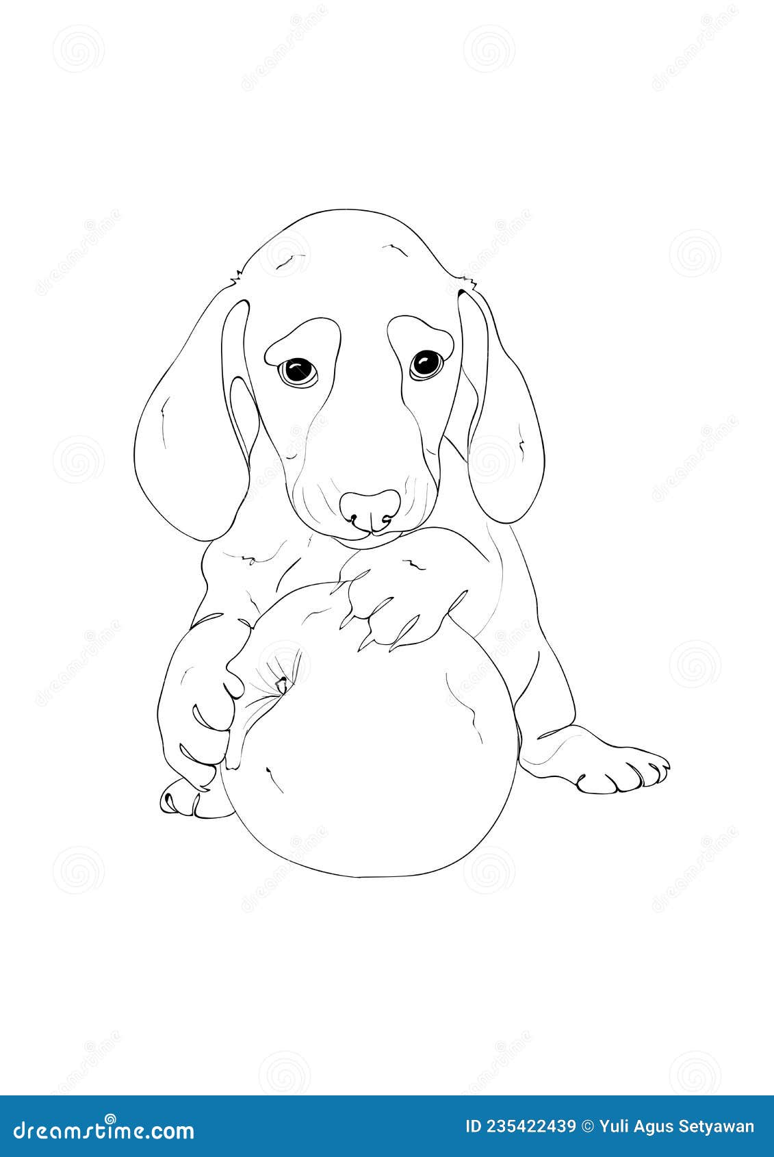 Line Art Portrait of German Shorthaired Pointer Stock Illustration ...