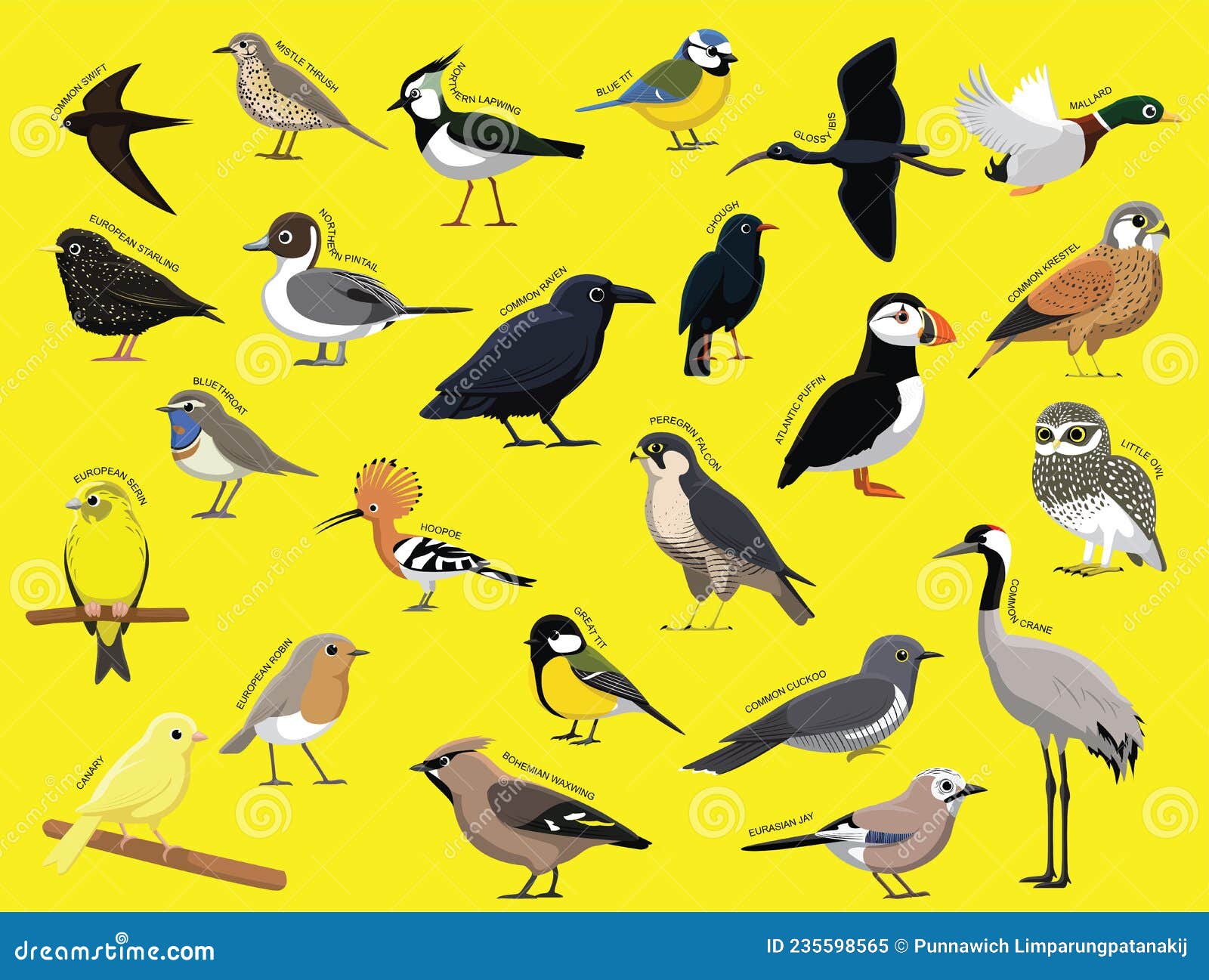 European Birds with Name Cartoon Character Set 1 Stock Vector ...