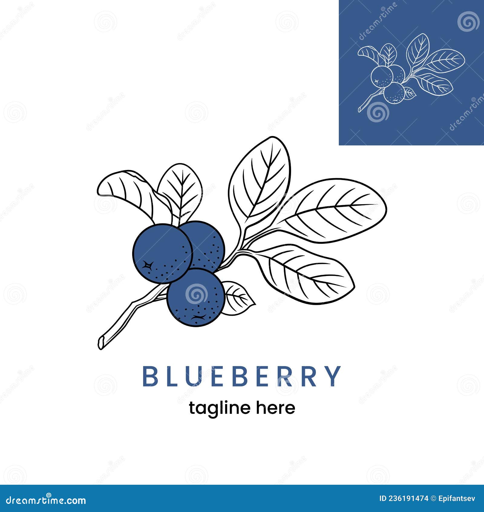 Blueberry Logo Template. Hand Drawn Blueberry Branch Stock Vector ...