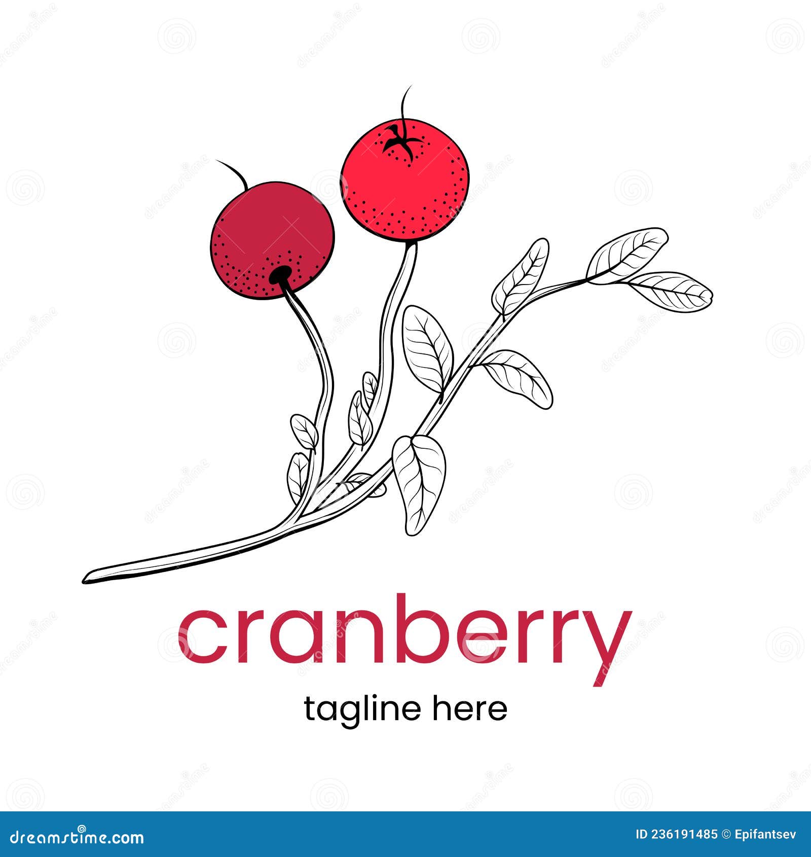 Cranberry Logo Template. Hand Drawn Cranberry Branch Stock Vector ...