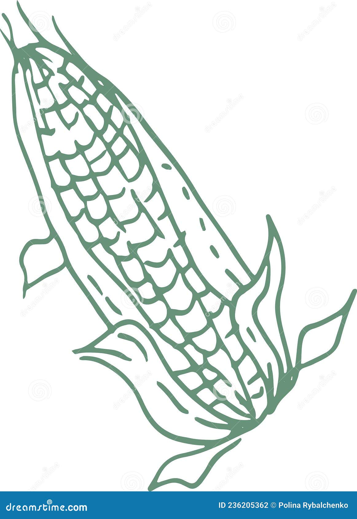 Corn Vegetables Illustration Hand Drawn Print Textiles Harvest Autumn ...