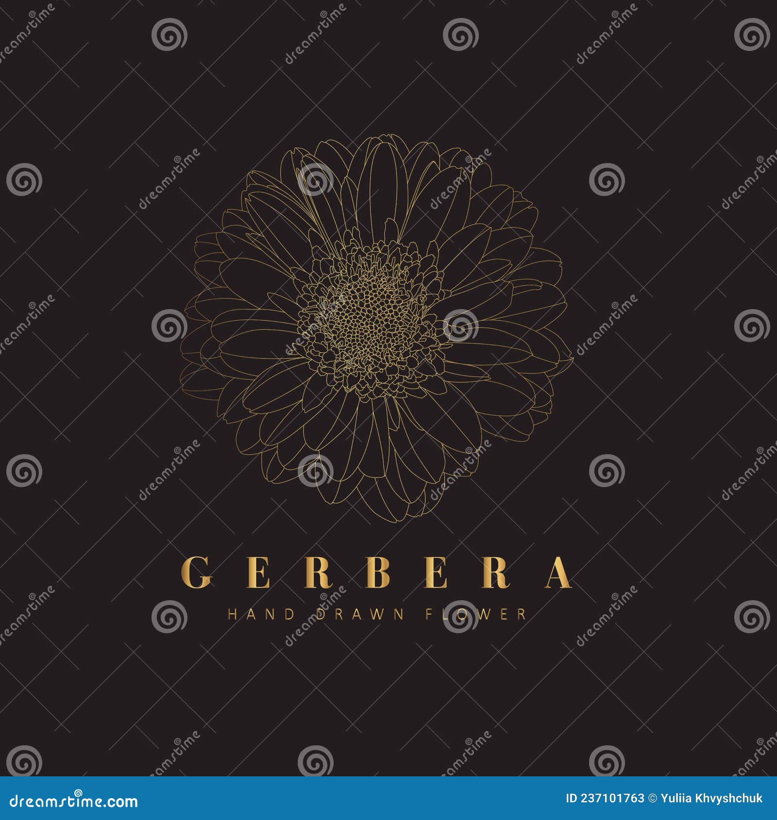Botanical Rustic Trendy Tropical Gerbera Flower Illustration. Floral ...