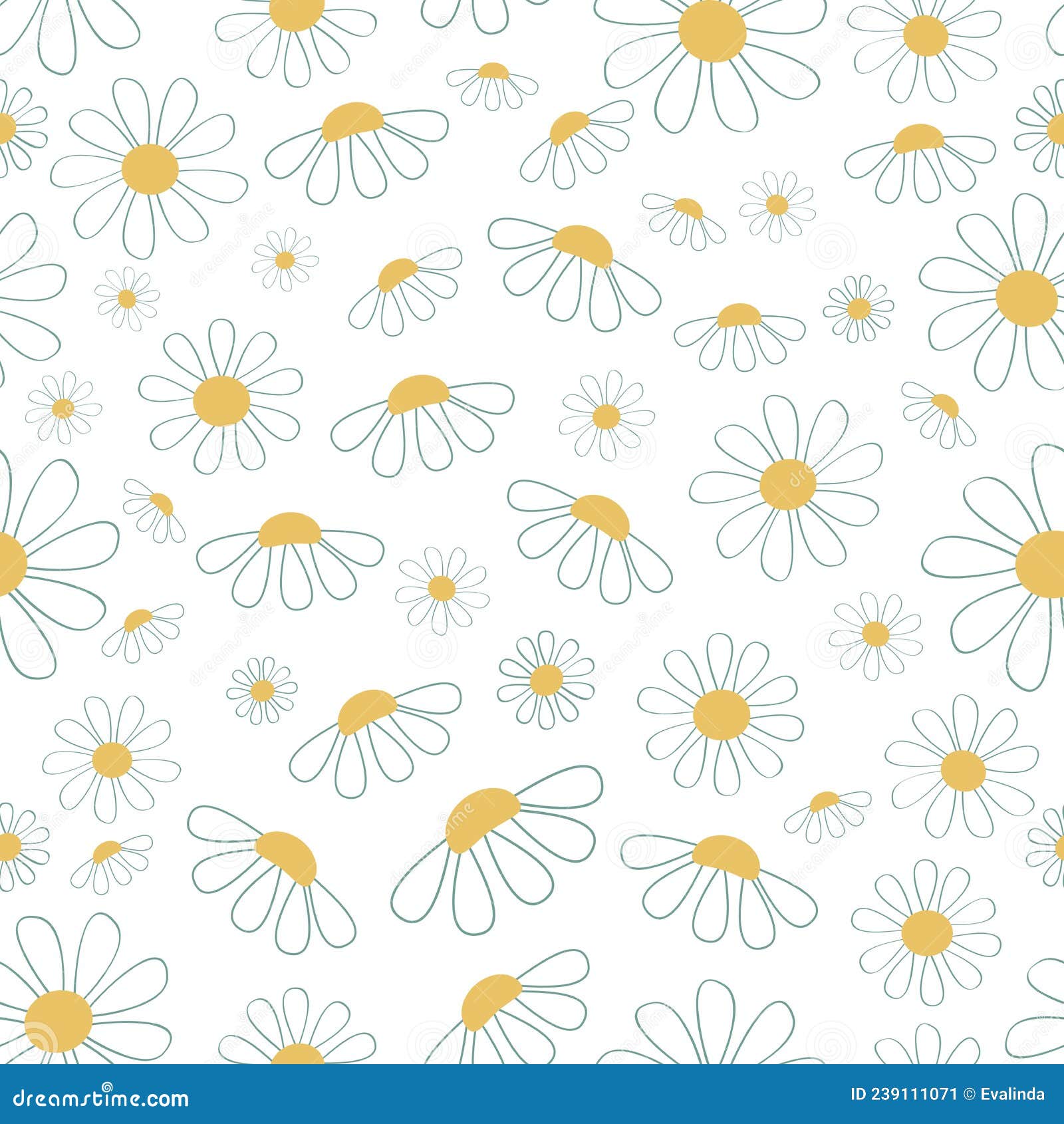 Seamless Pattern of Daisies. Floral Texture on White Background Stock ...