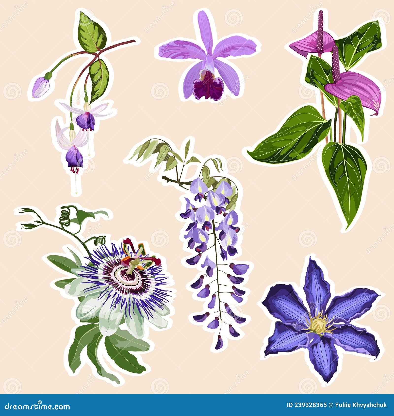 Set of Tropical Exotic Violet Flowers Elements. Set of Stickers, Pins ...