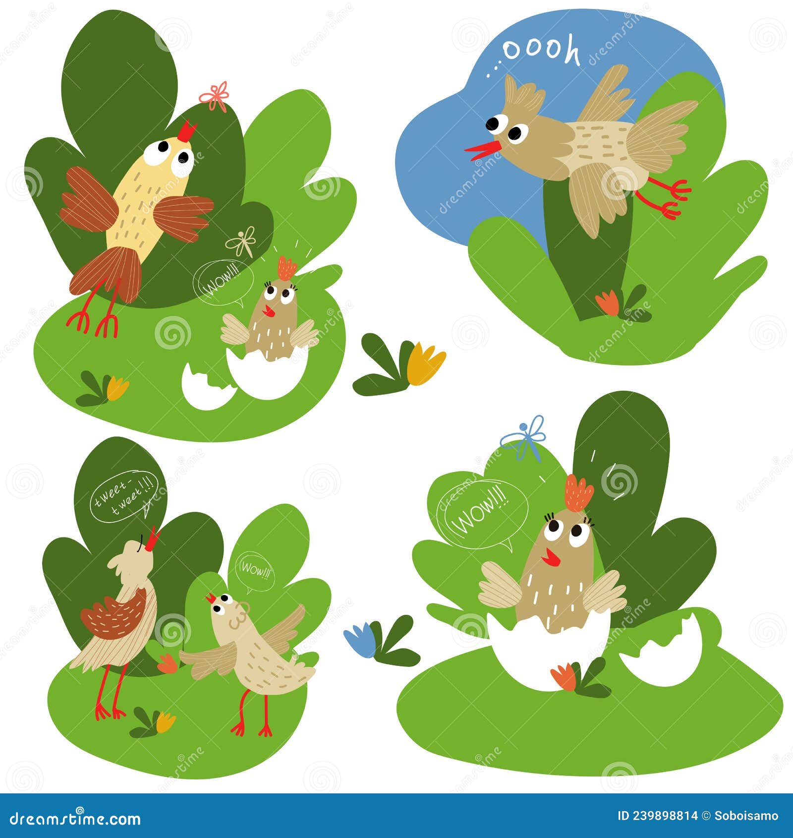 Birds, Chicks, Trills, Chirping, Flying Bird, Children`s, Funny ...