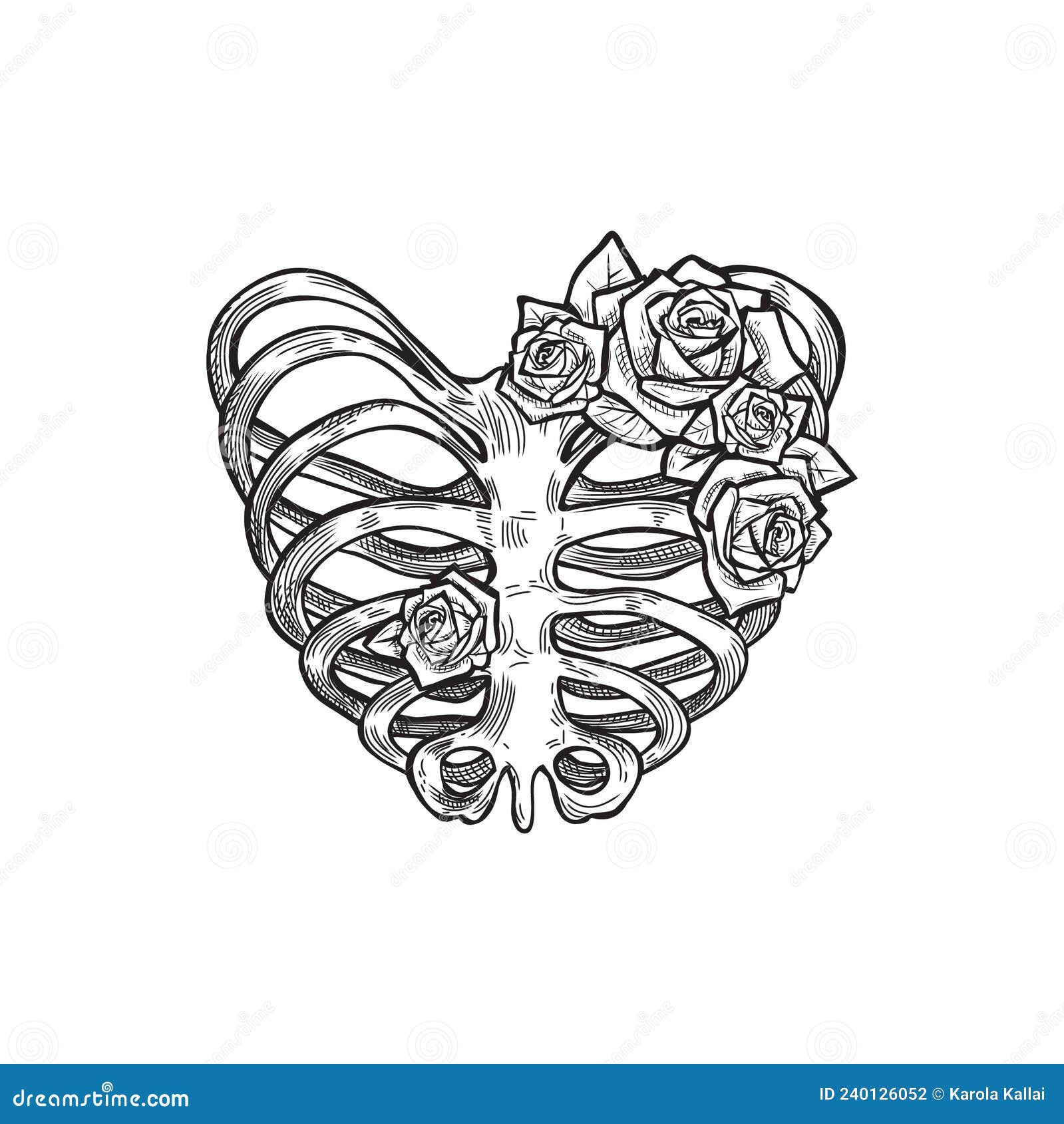 Skeleton Heart Thorax Cartoon Vector | CartoonDealer.com #304397673