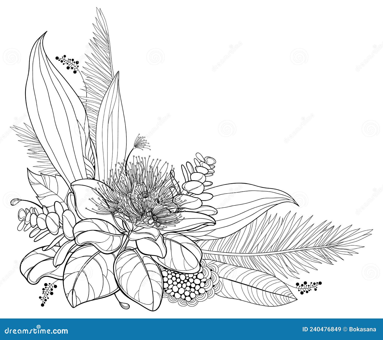 Pohutukawa Flower Sketch. Drawing Illustration. Pohutukawa - New ... Pohutukawa Flower Sketch. Drawing Illustration. Pohutukawa - New ...