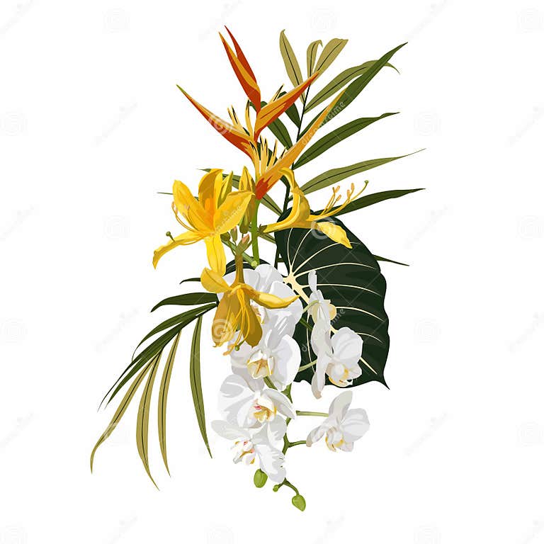 Flower Frame with Orchid and Yellow Exotic Flowers in Watercolor Style ...