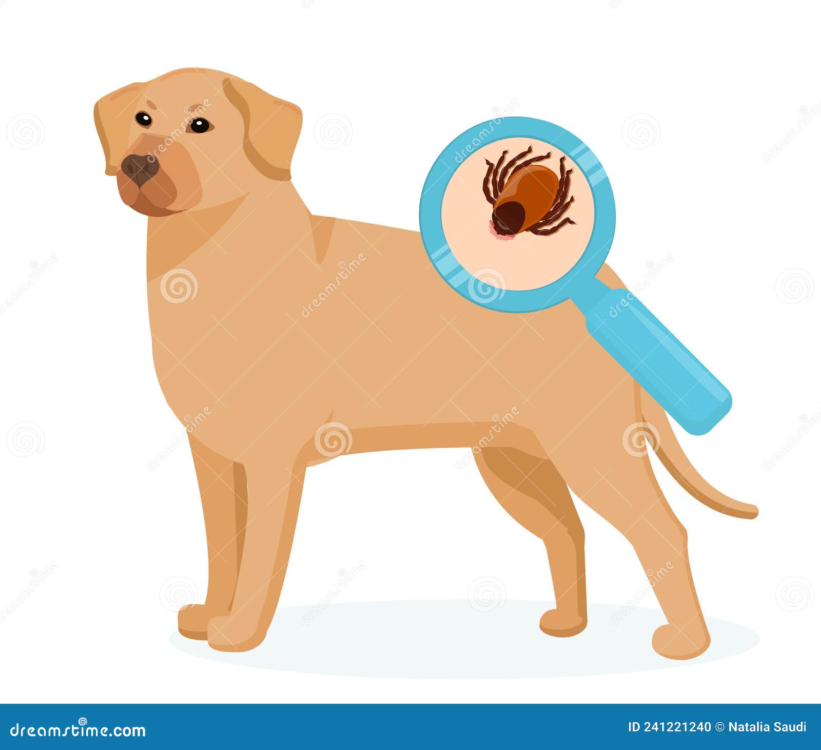 Vector Illustration Of A Dog With A Tick Shown In Close-up. The Problem ...