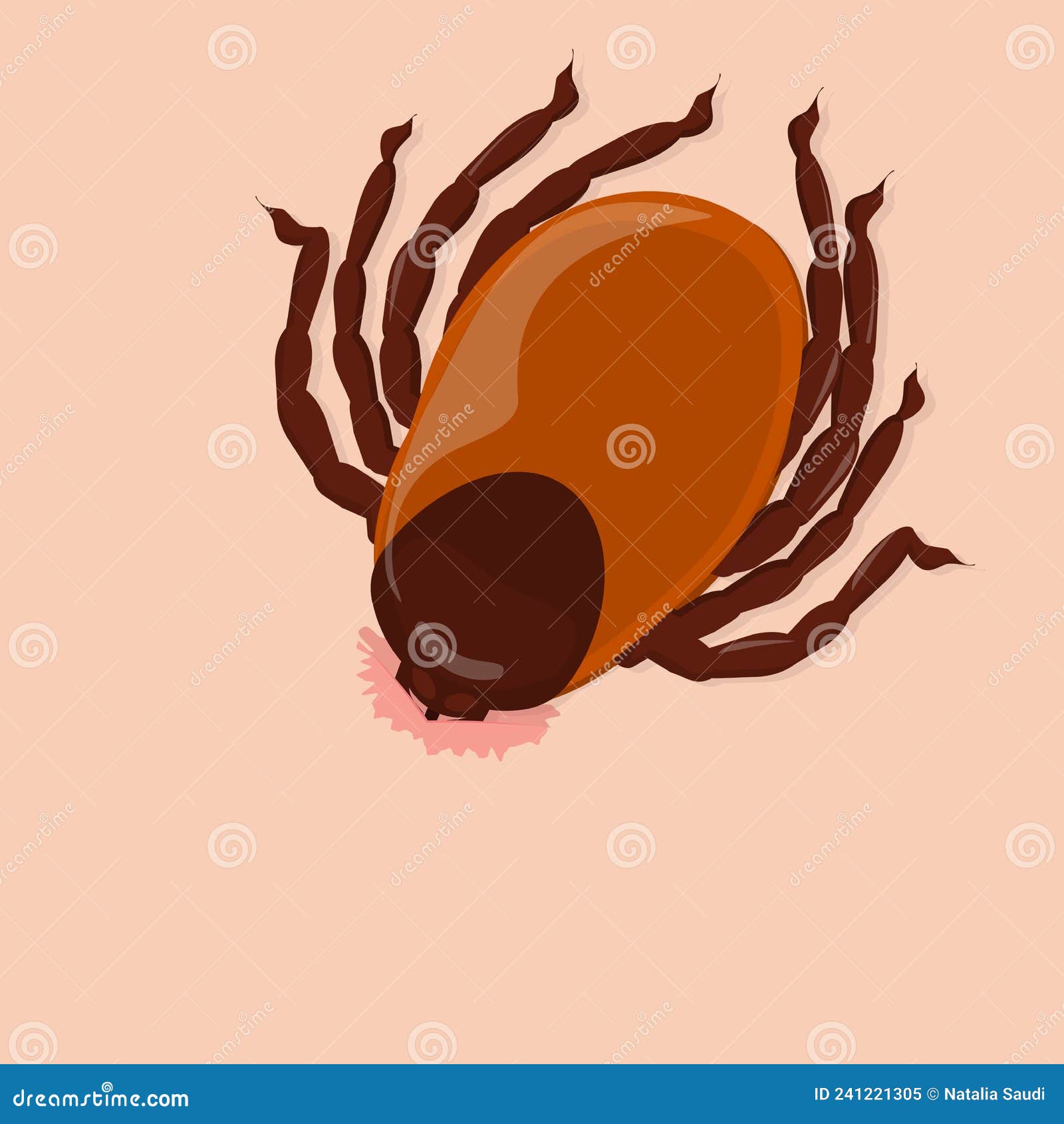 Bug, Tick. Blood-sucking Parasite. Insect Pest. Tick Character, Vector ...