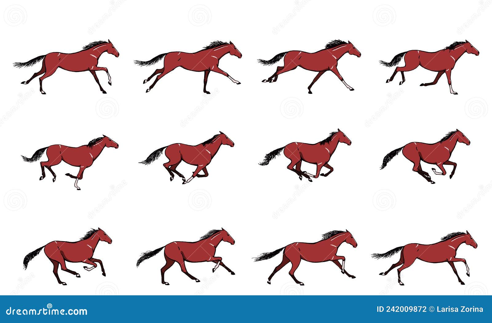 Horse Run Cycle