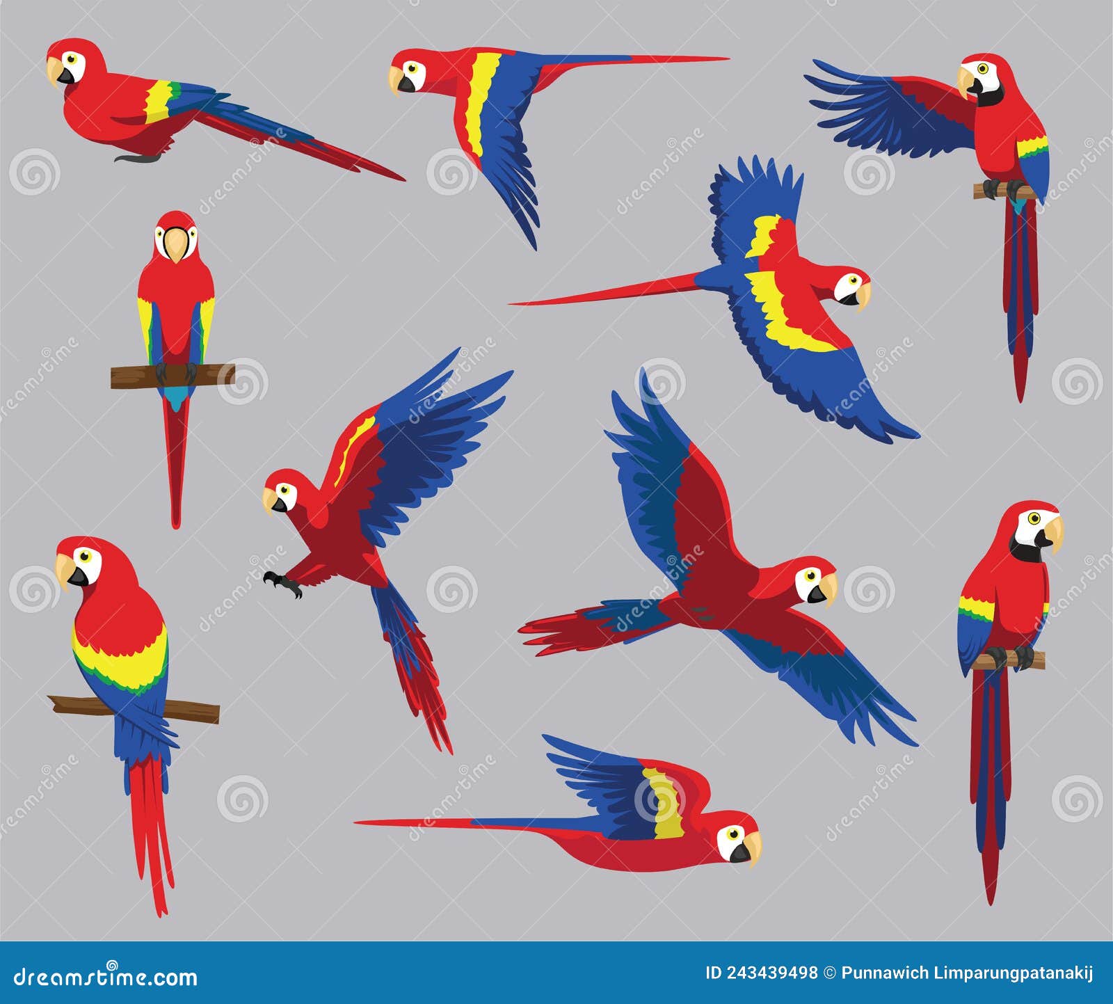 Cartoon Scarlet Macaw Cute Various Poses Cartoon Vector Illustration ...