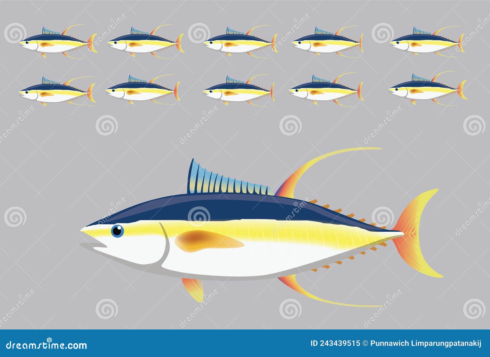 Animal Animation Sequence Yellowfin Tuna Swimming Cartoon Vector ...