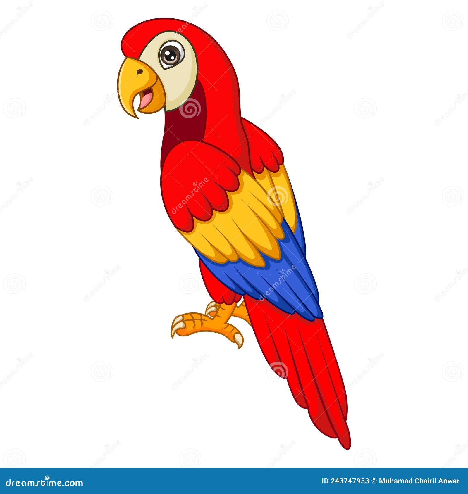 Cute Macaw Bird Cartoon Posing Stock Vector - Illustration of creature ...