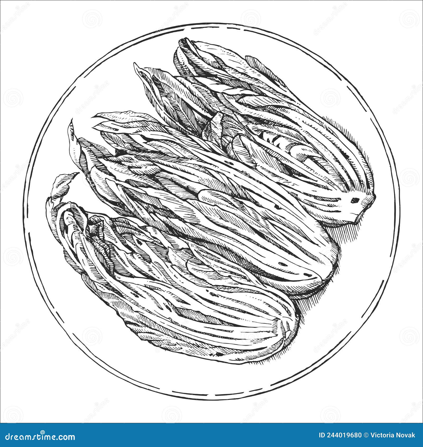 Asian Dishes. Hand-drawn Illustration of Kimchi. Stock Vector ...
