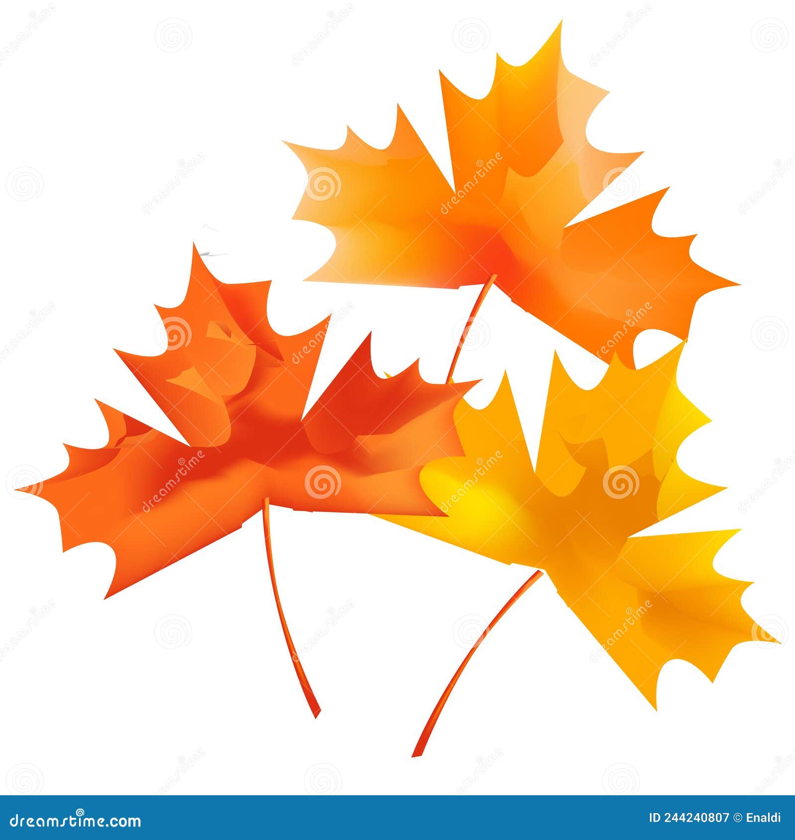 Maple and Autumn Leaves Canada Sign and Symbol Vector Illustration ...