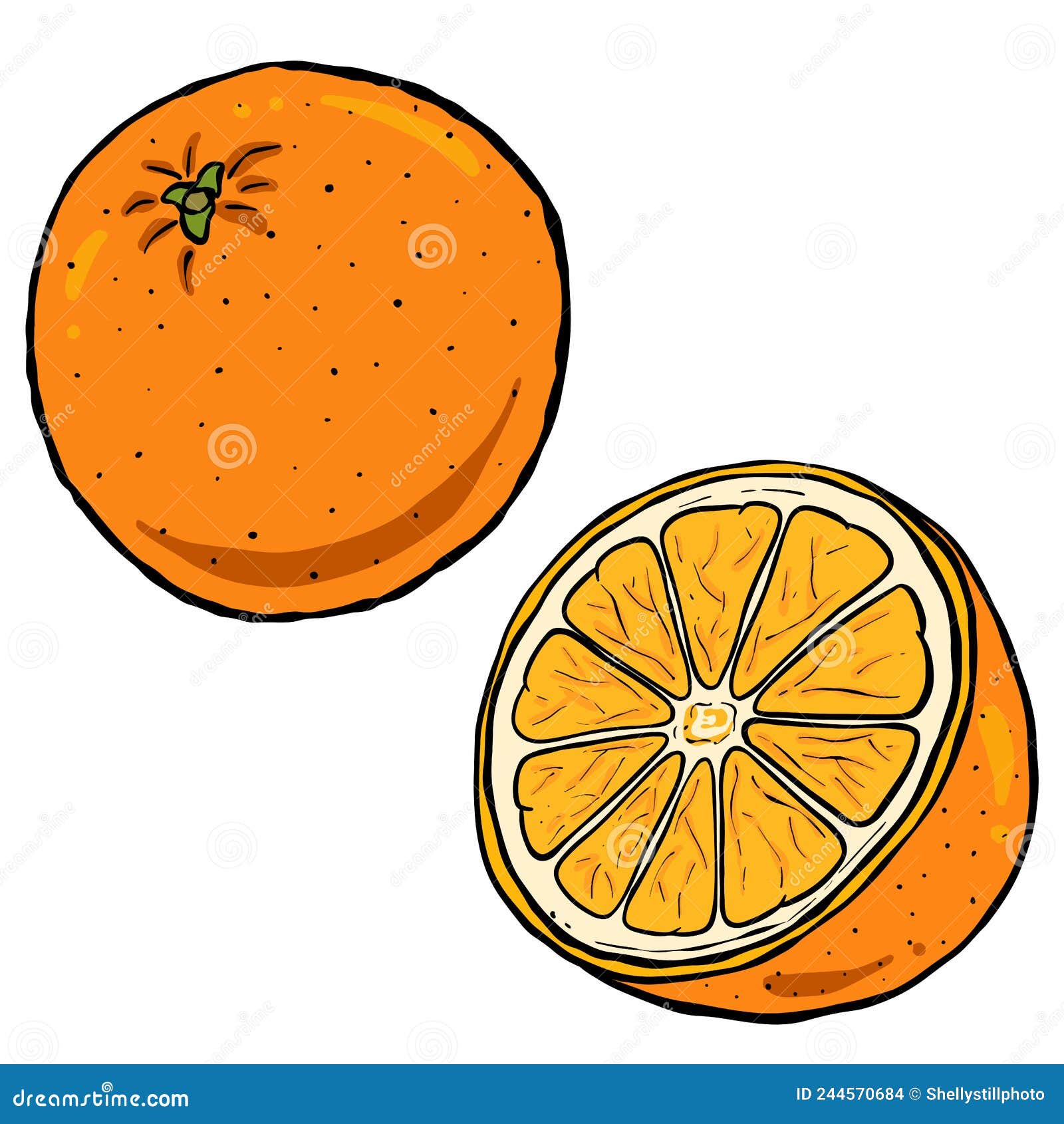 Cartoon Illustration Style Orange Fruit Cut Slice Stock Illustration ...