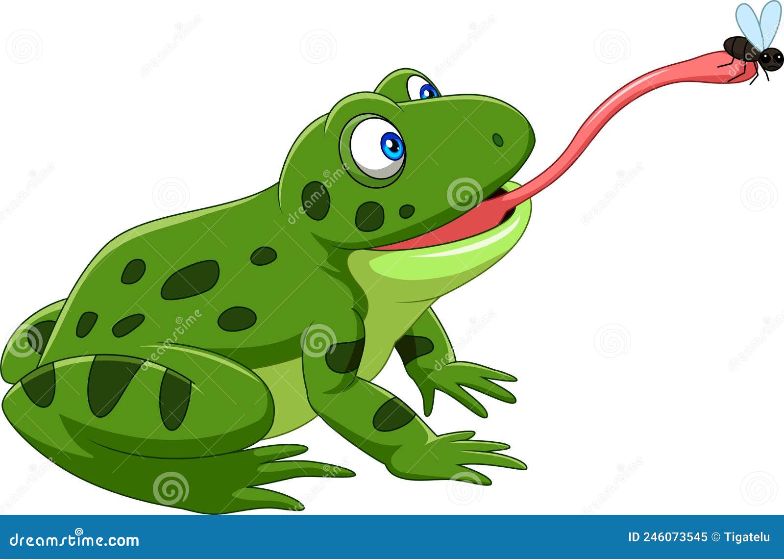 Cartoon Frog Catching a Fly Stock Vector - Illustration of escape ...
