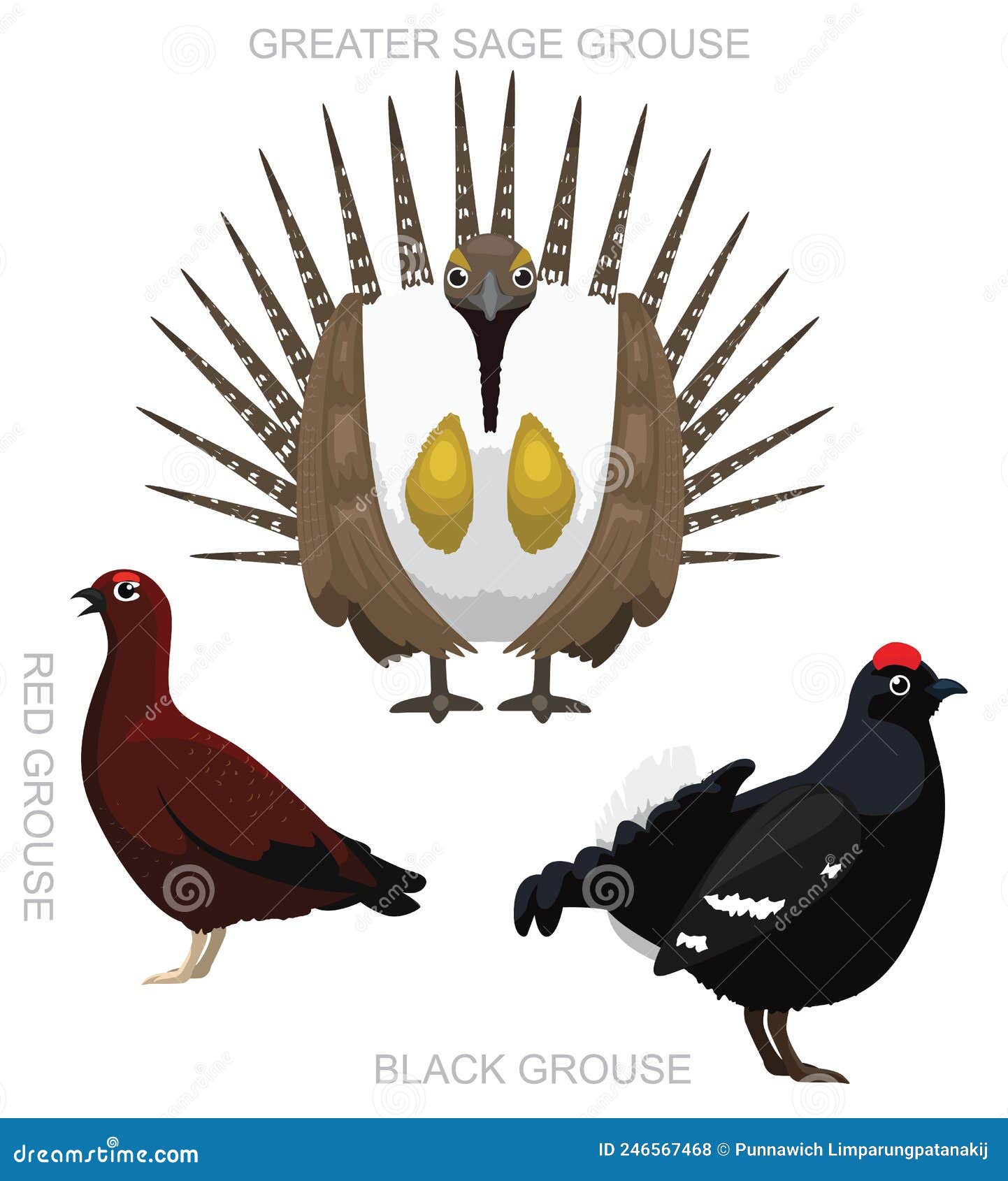 Greater Sage Grouse Illustration, Drawing, Engraving, Ink, Line Art ...