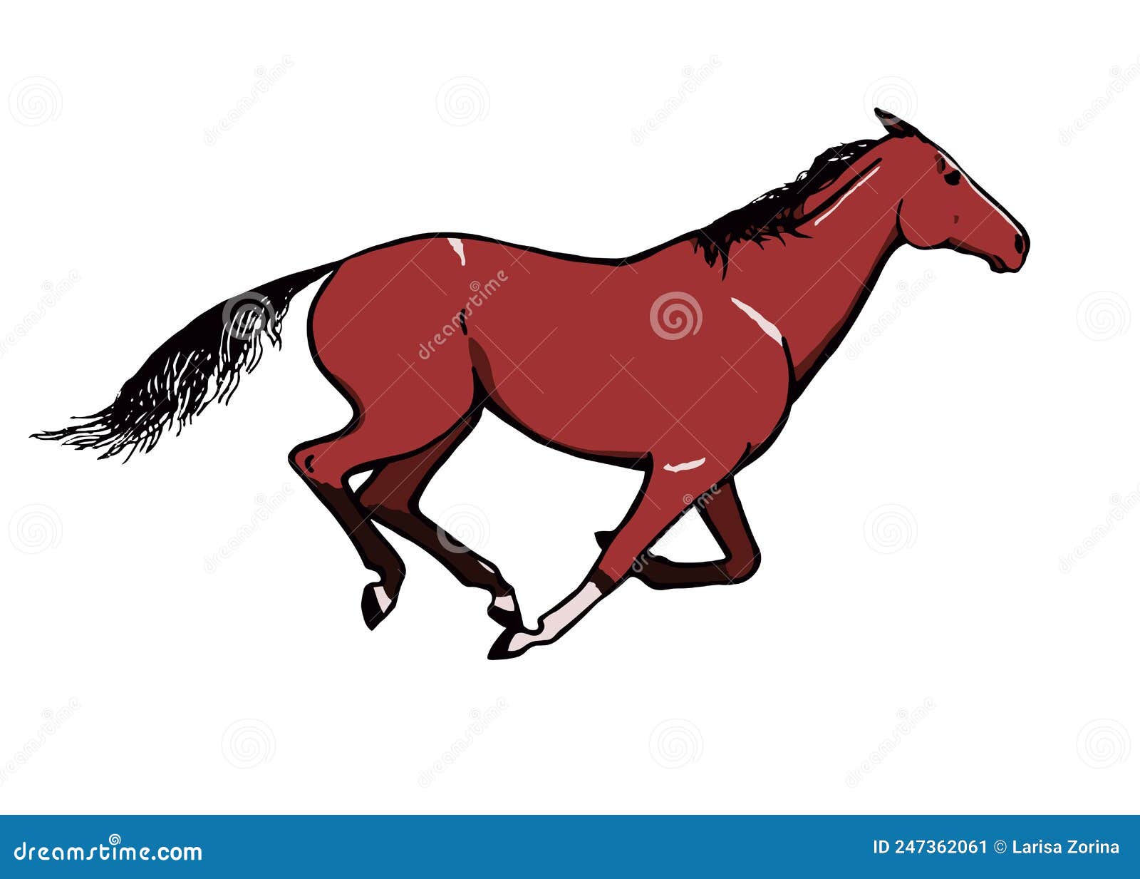 Galloping Horse or Mustang. Stock Illustration - Illustration of motion ...