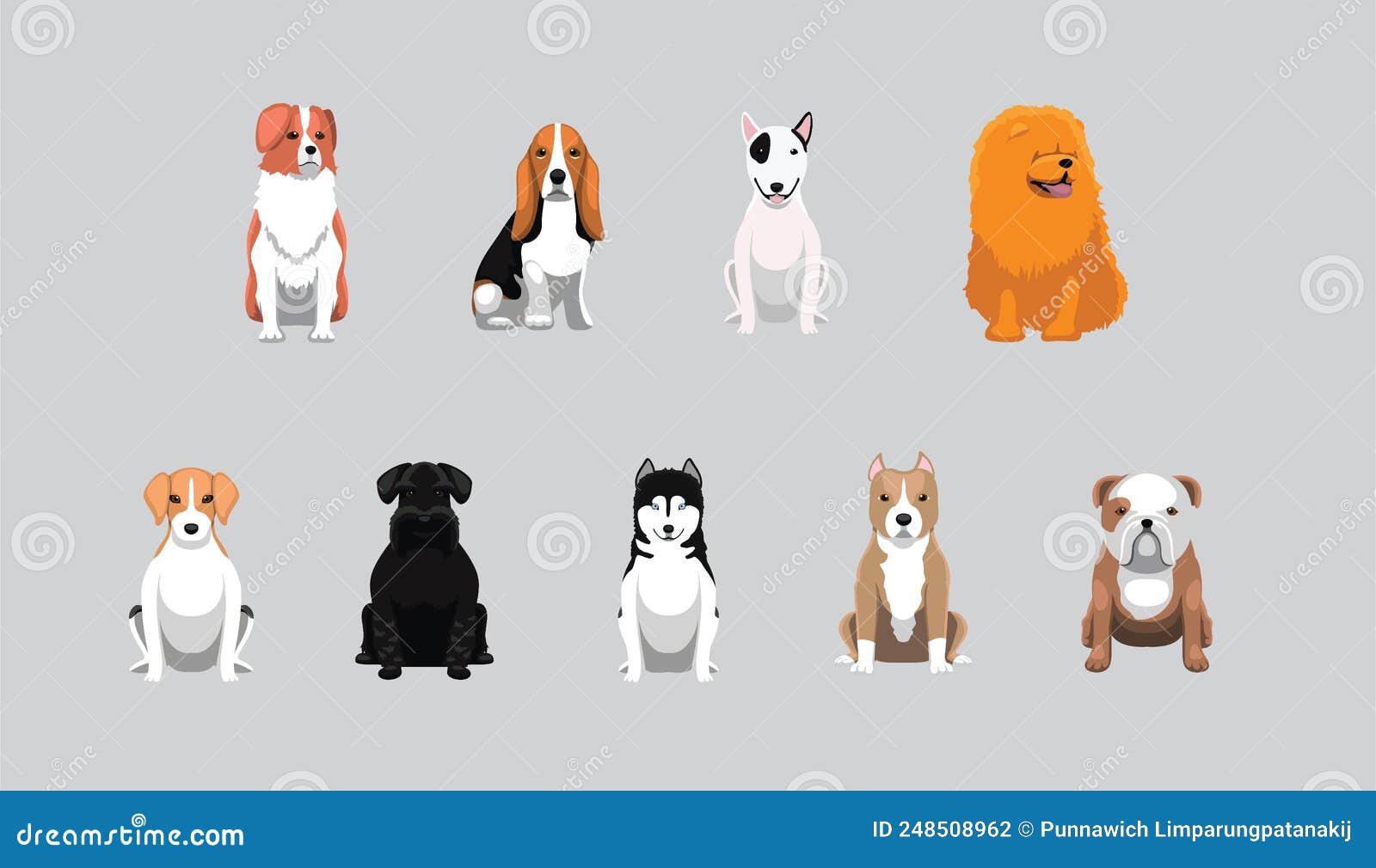 Dog Medium Size Breeds Sitting Cartoon Vector Illustration Set Stock ...