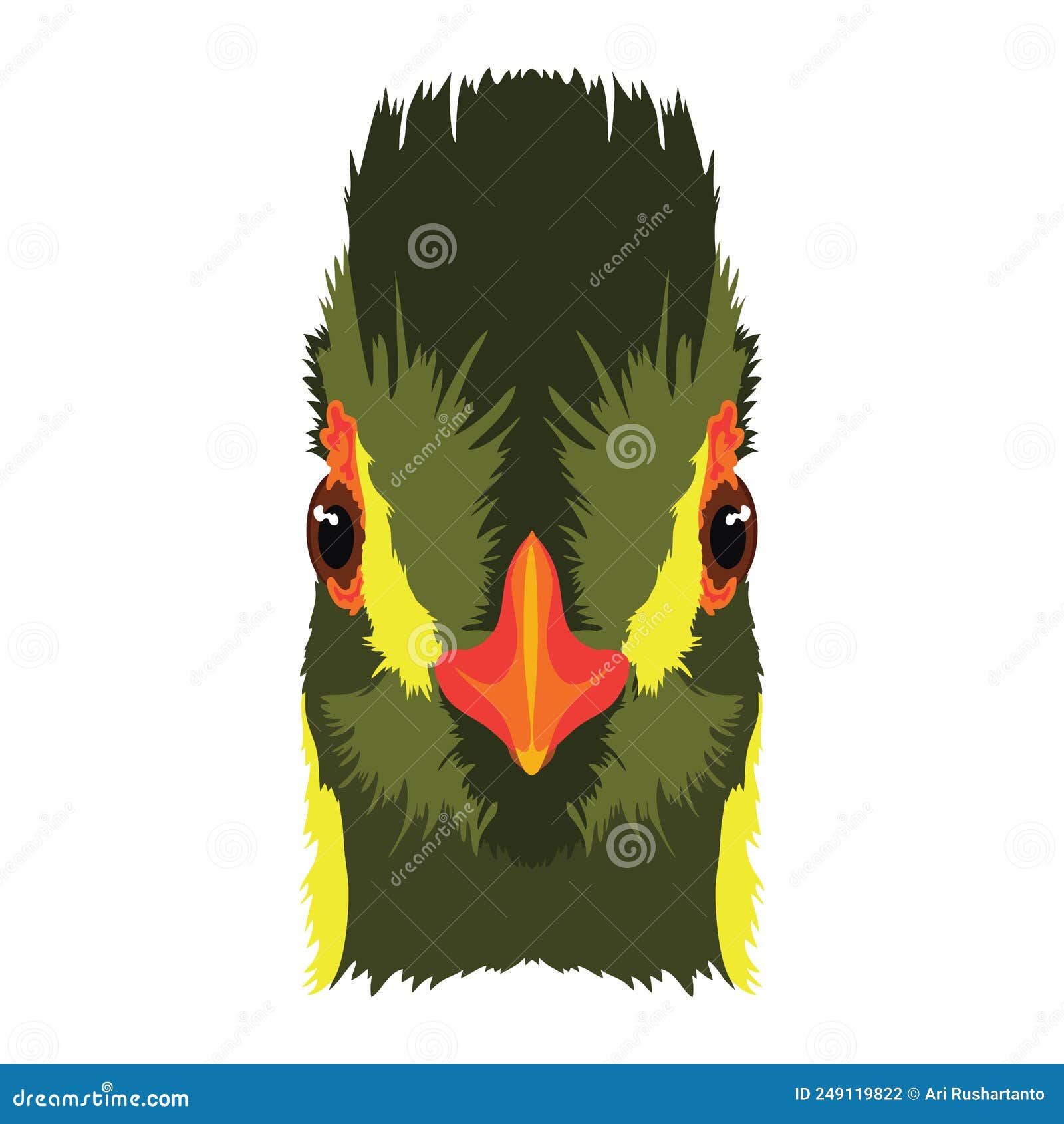 Green Turaco Bird Face Vector Illustration In Cute Cartoon Style Design ...