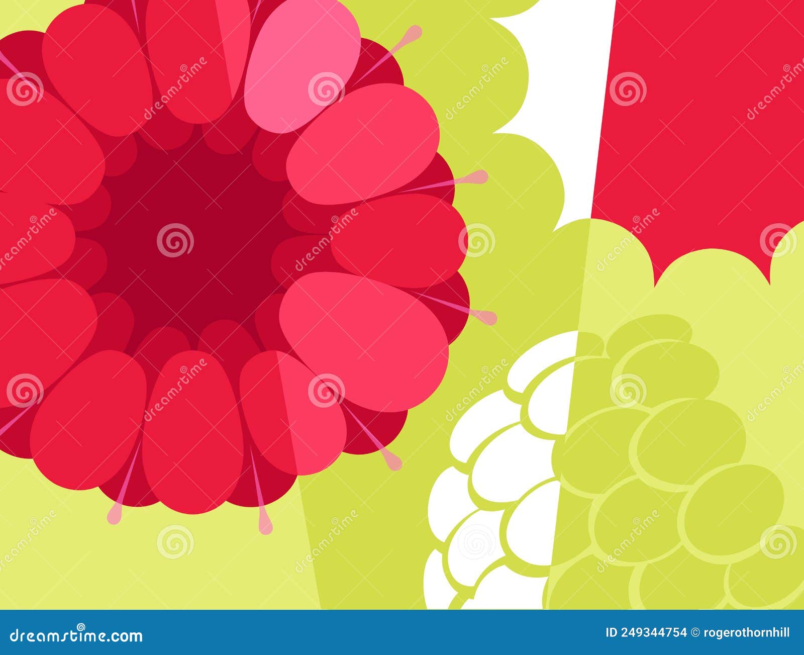 Abstract Fruit Illustration of Raspberries Close Up. Stock Vector ...