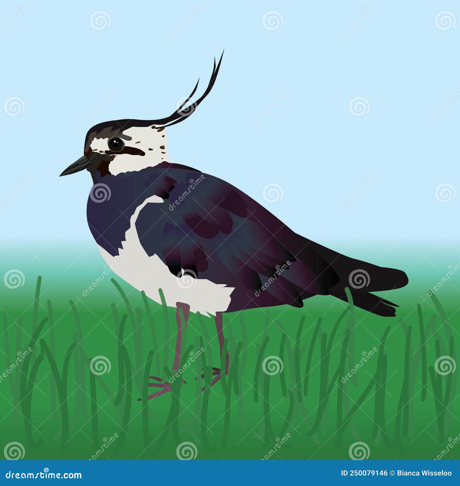 Lapwing Vector Illustration Flat Style Profile Side Silhouette ...