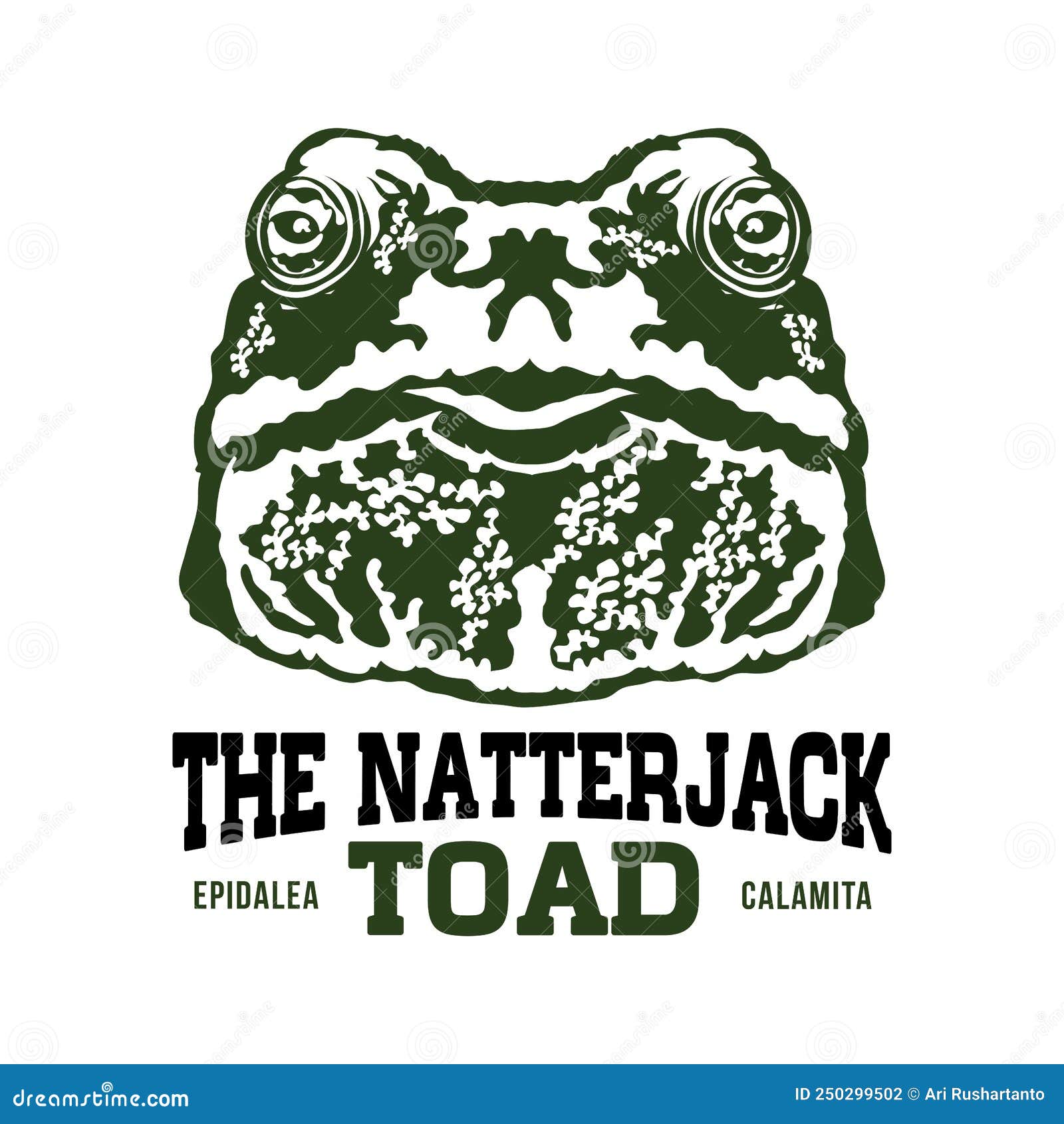 Natterjack Toad Face Vector Illustration Logo Design Stock Vector ...