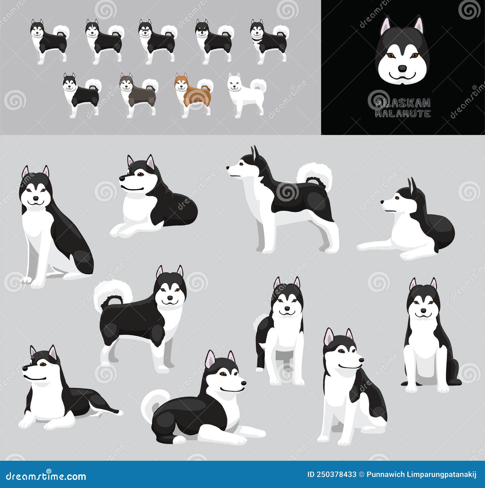 Dog Alaskan Malamute Cartoon Vector Illustration Color Variation Set ...