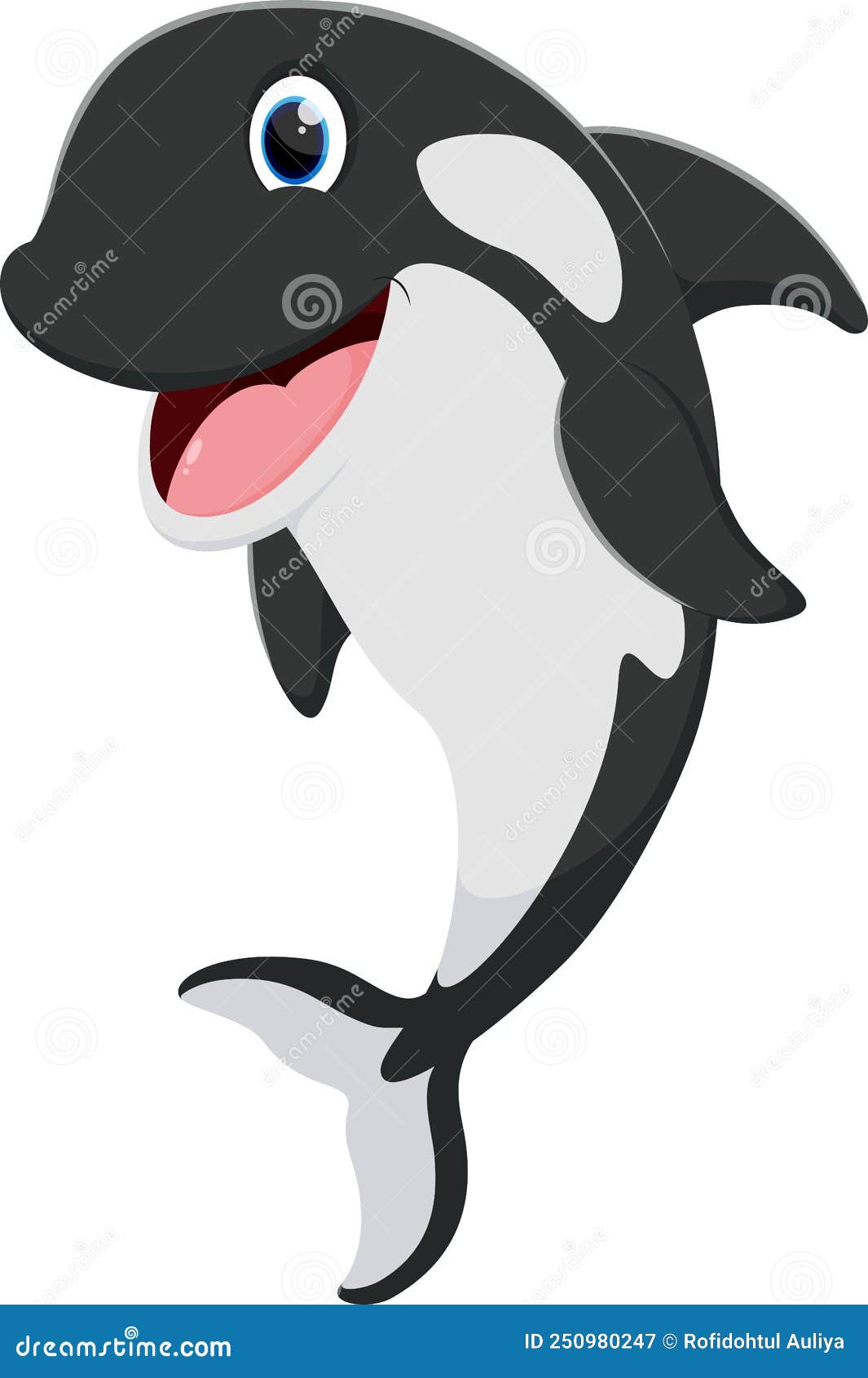 Cute Killer Whale Cartoon Isolated on White Background Stock Vector ...